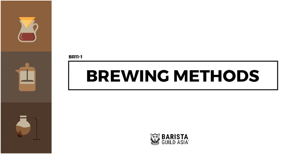 Brewing Methods — Barista Guild Asia