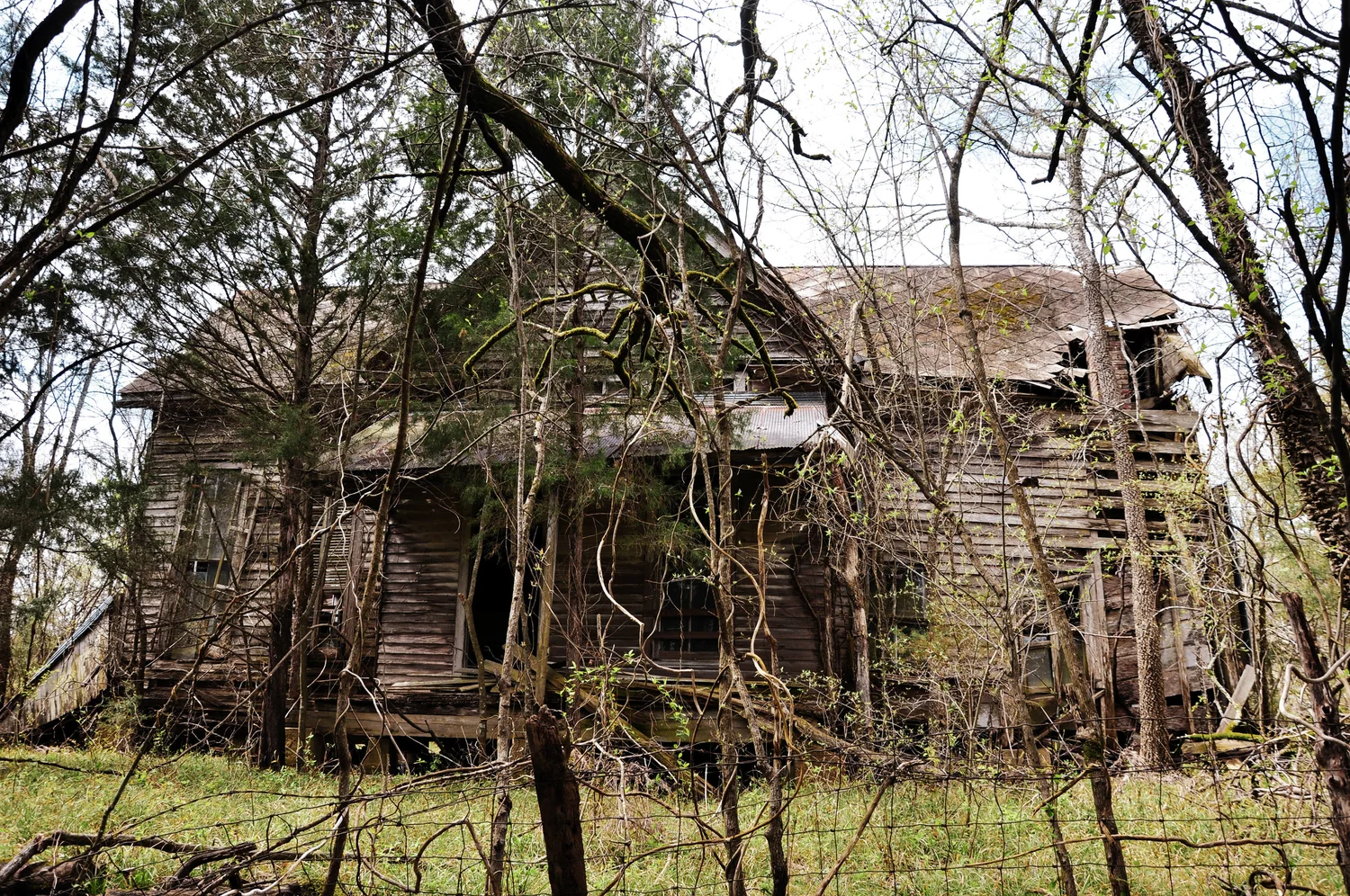 Southern Gothic or the perfect place to film a horror movie.... — Lana ...