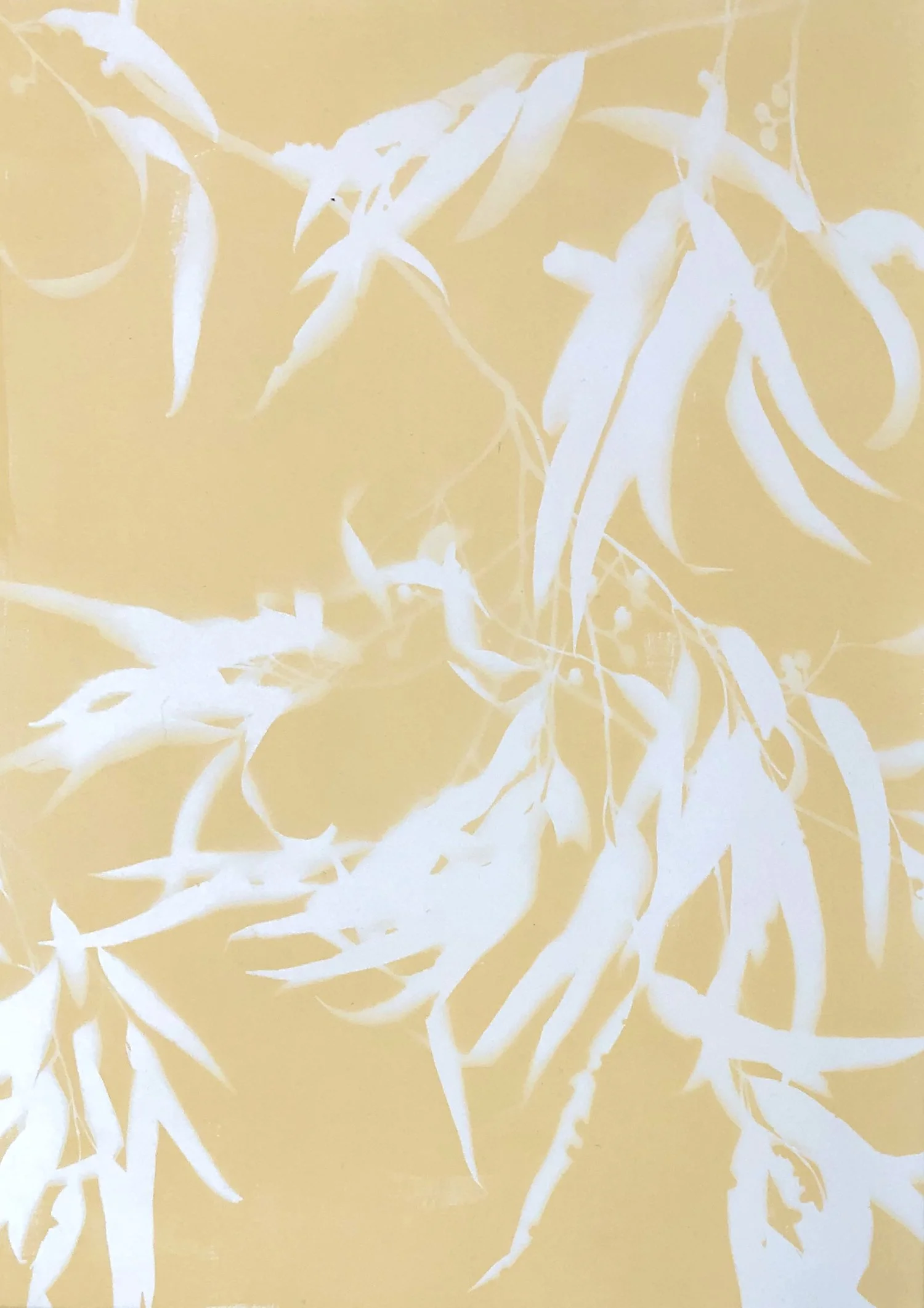 Jacquard Products — Christine So