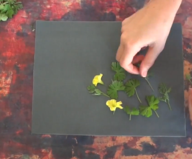 Welcome to Jacquard Products