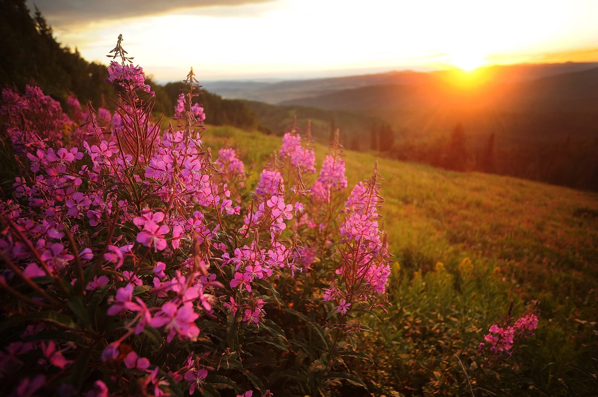 CATE ZANE Fine Art + Artisan Jewelry Austin TX