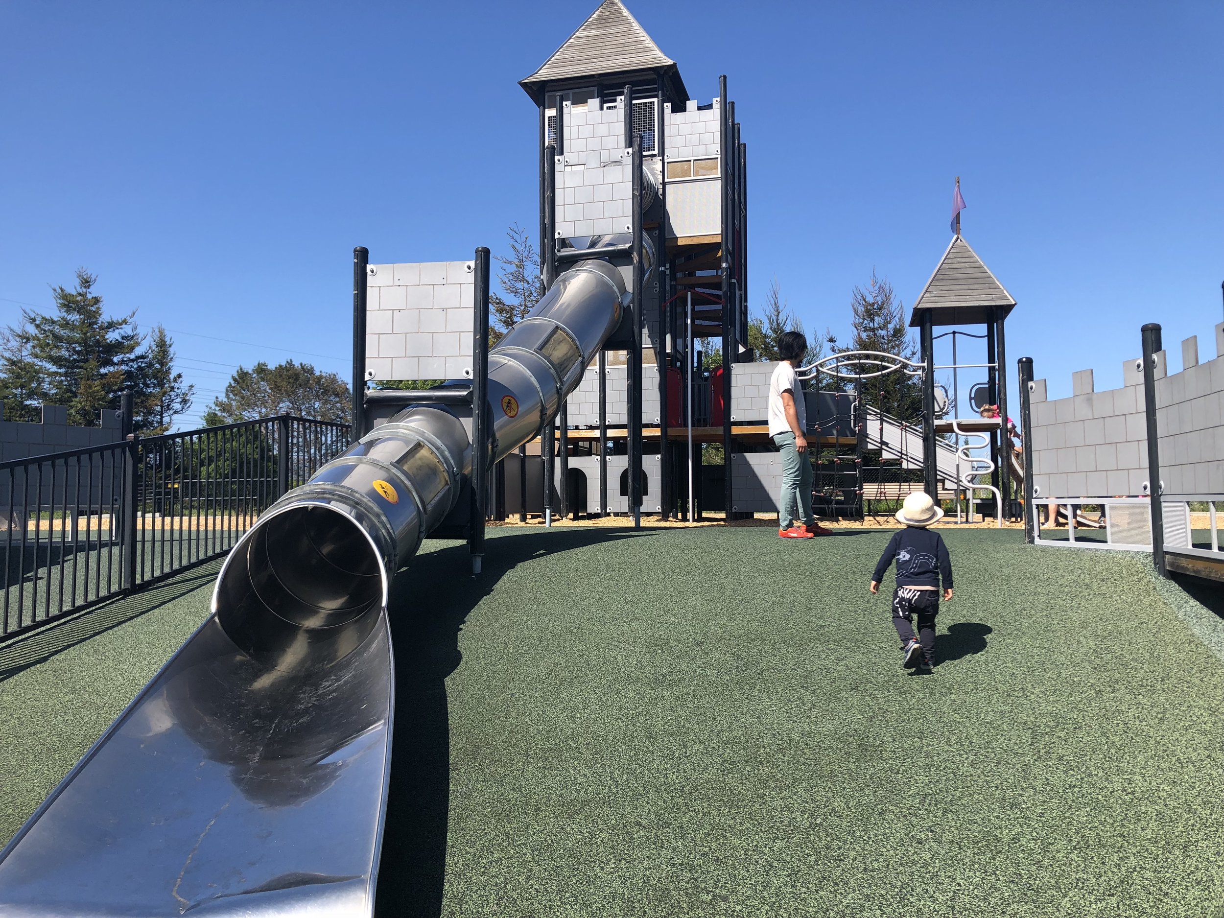 Coyote Point Picnic Area Magic