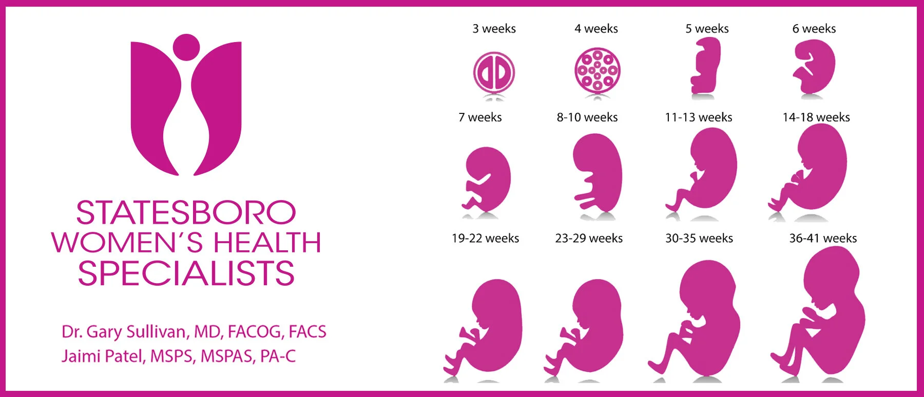 Stages Of Pregnancy Dr Gary Sullivan Ob Gyn Statesboro Womens