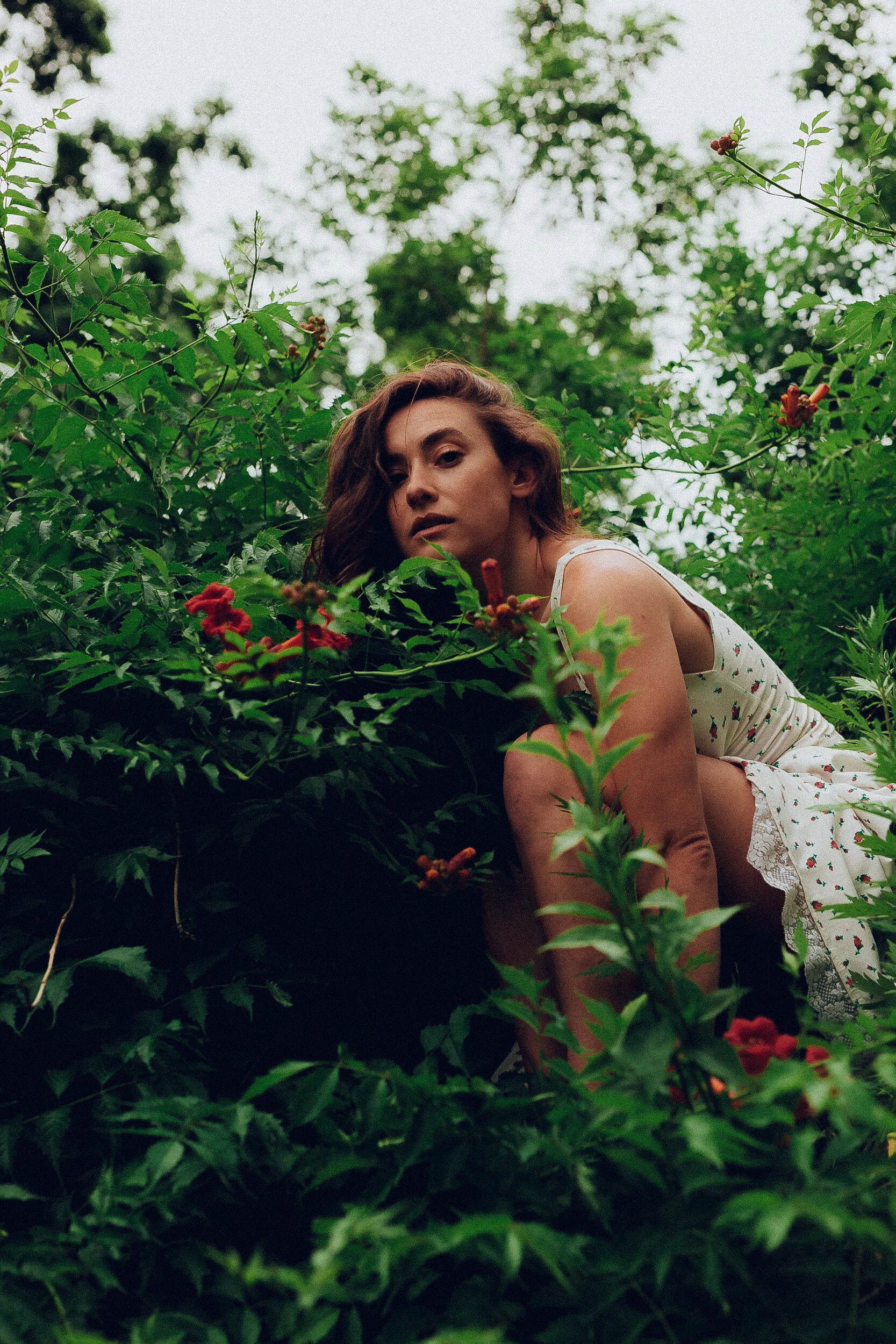 Hi — AUDREY HARDEN