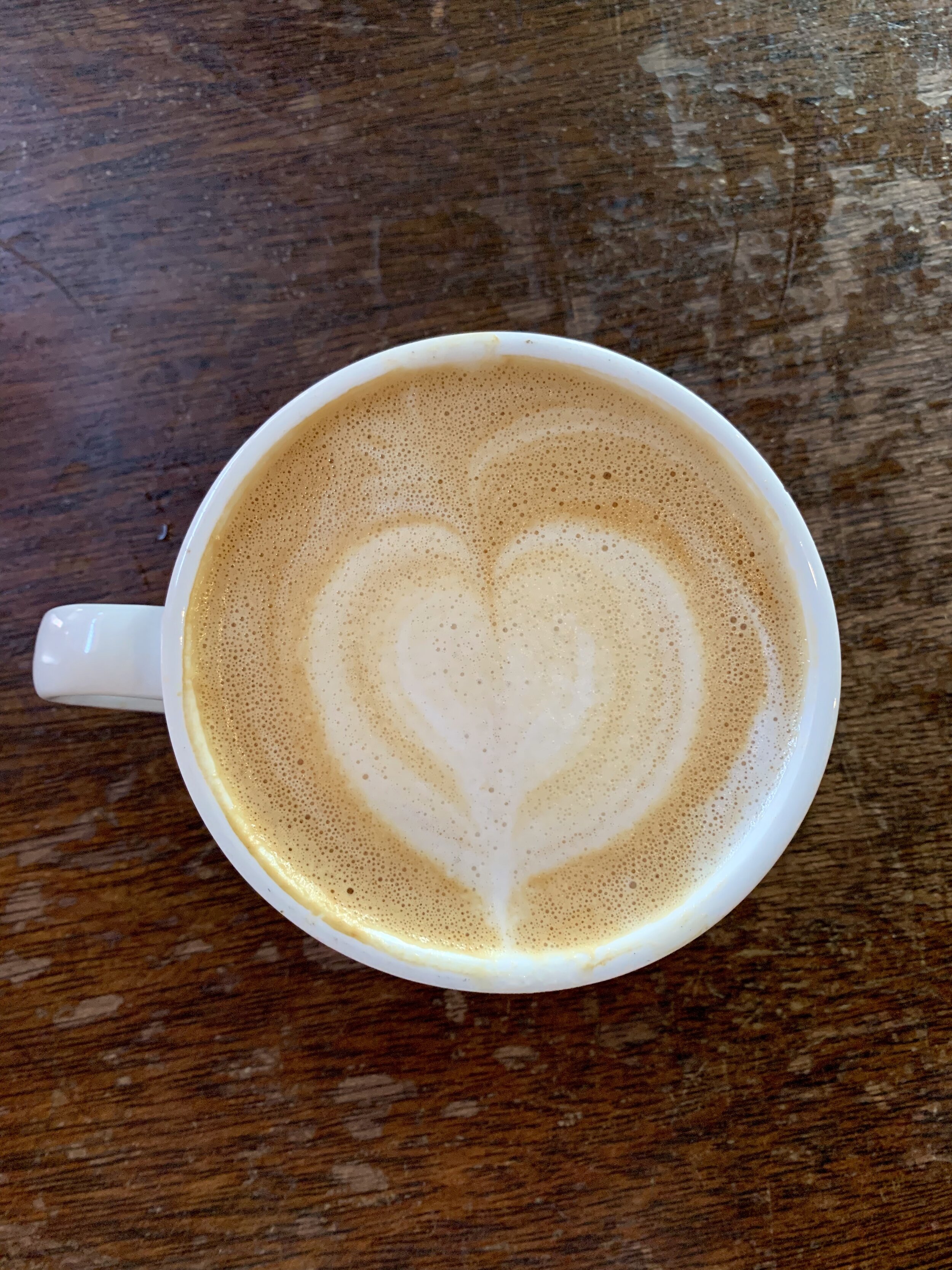 Fido — wine.dine.nashville.