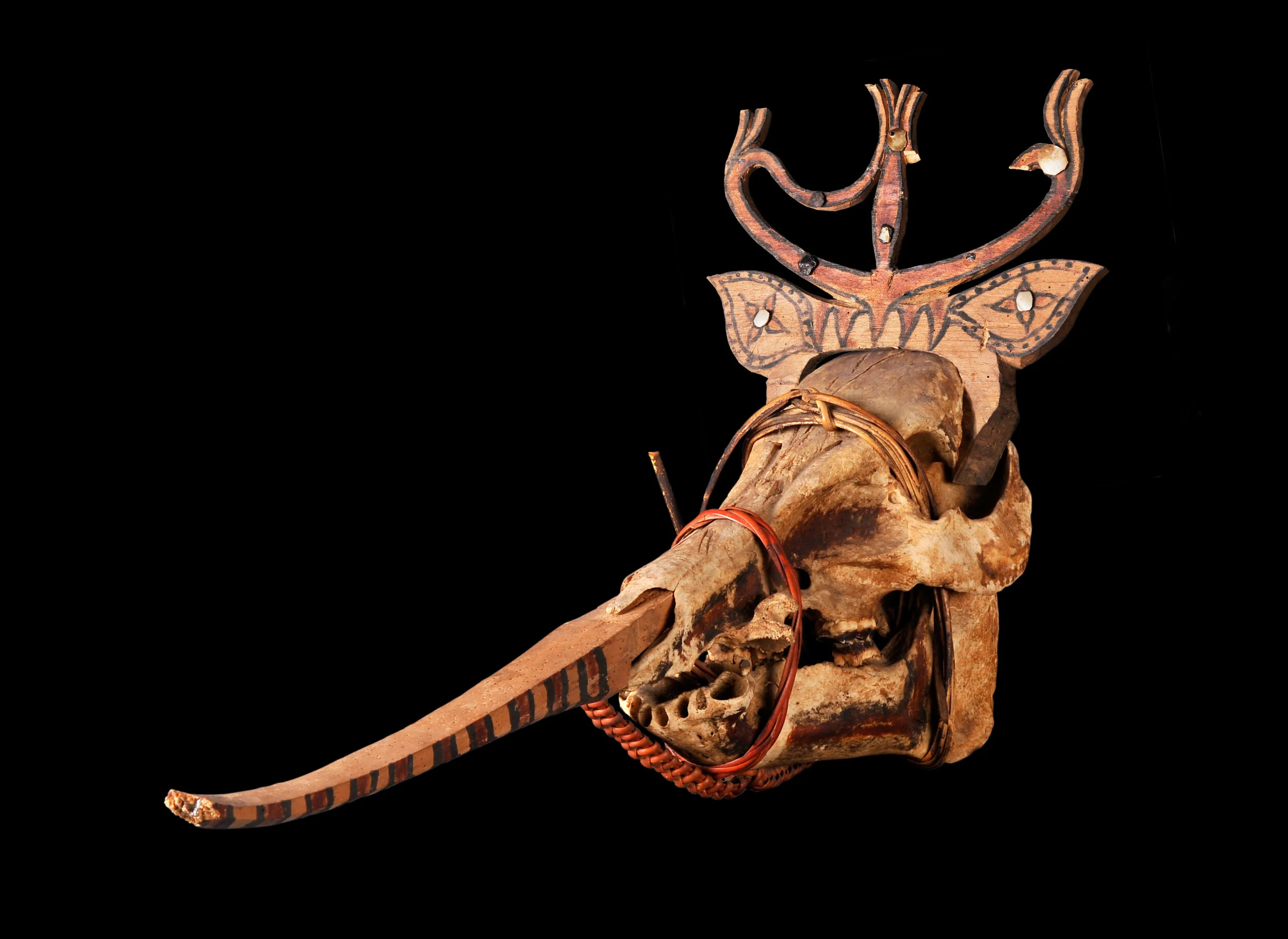 Cultural History In Focus | “The Pig Story (Tibboi Sakkoko ...