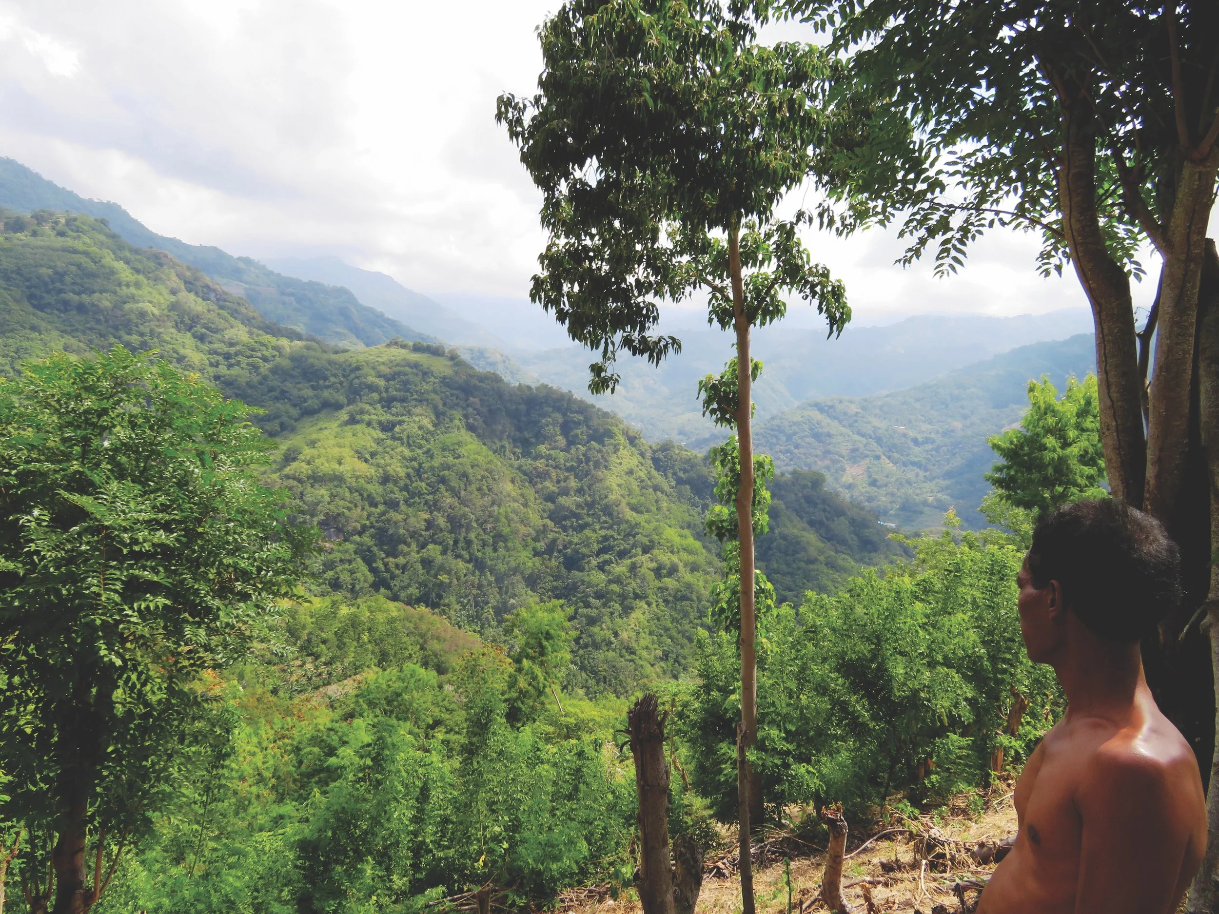 Resource Spotlight | “Between Ape and Human: An Anthropologist on the ...
