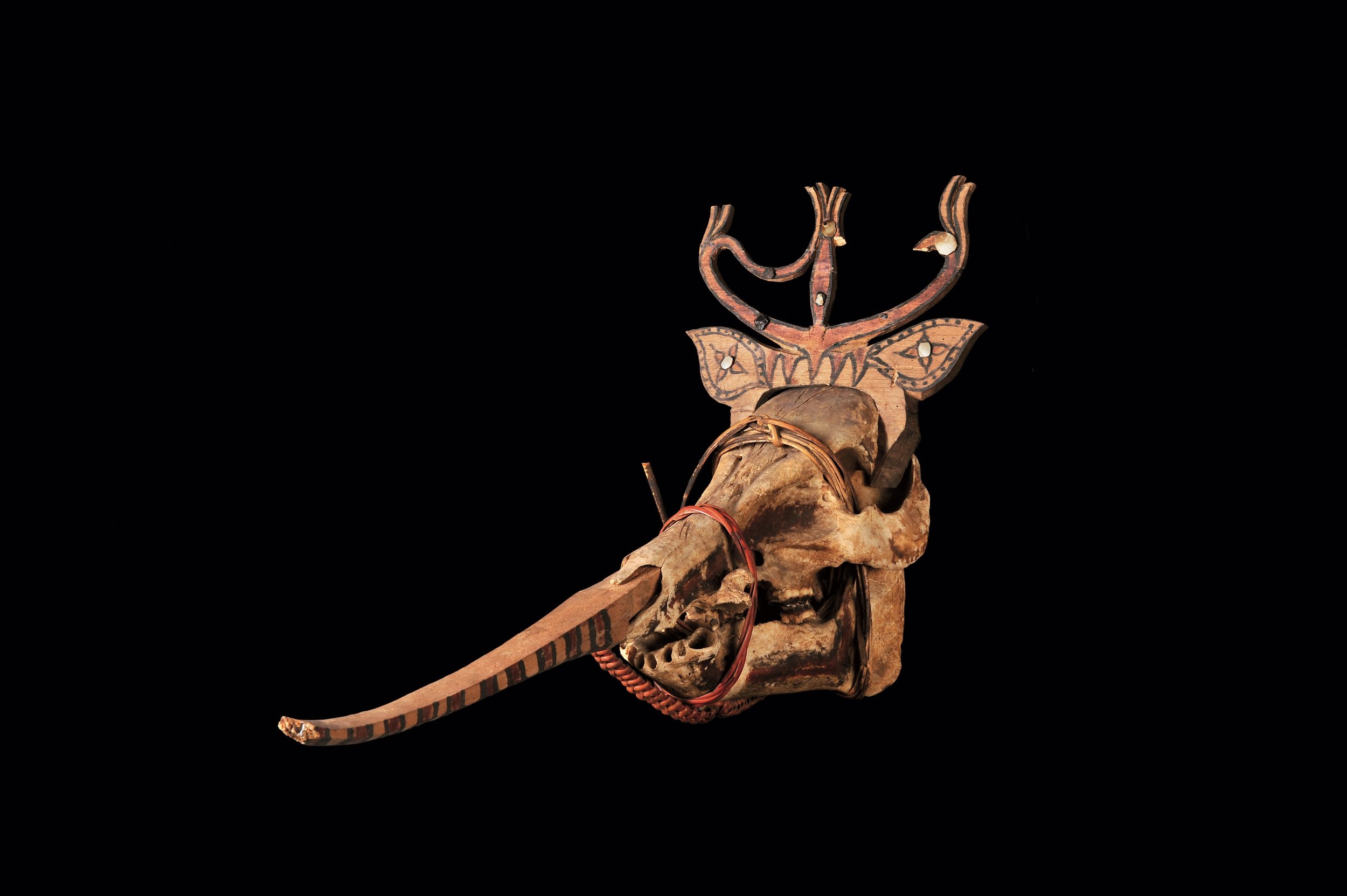 Sakuddei Myths: “Crocodile, Deer, Joja Monkey, Wild Boar” | Translation ...