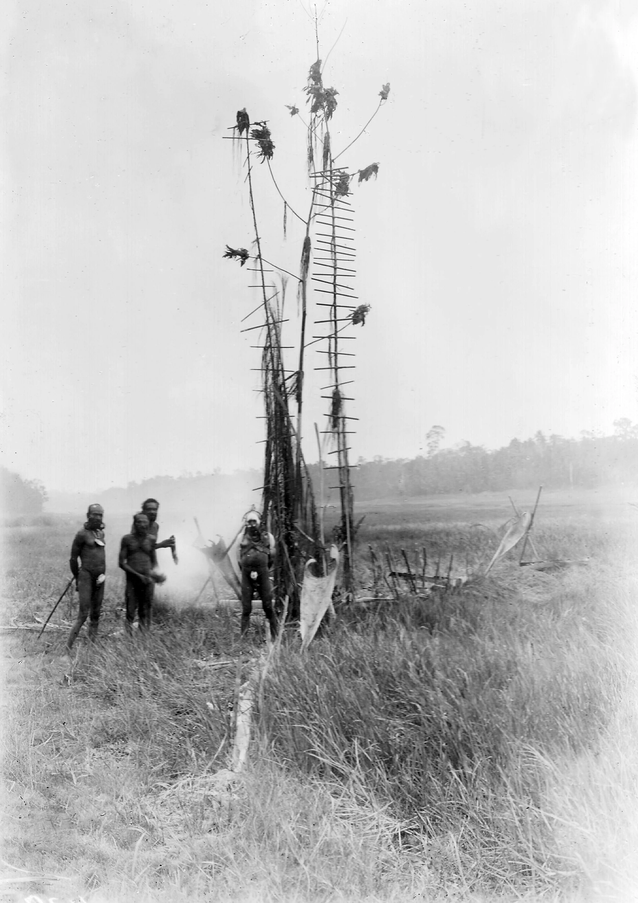 Resource Spotlight | “Tik Merauke: An Epidemic Like No Other” by John ...