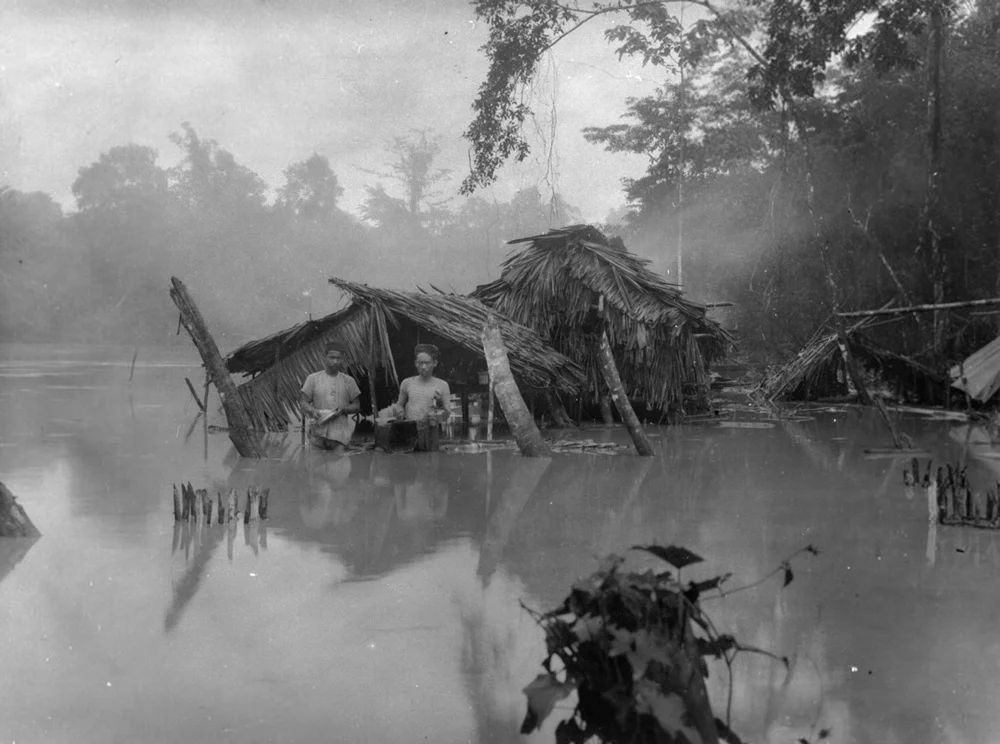 Dayak ‘Jungle and River Experts’ and Dutch West New Guinea Exploration ...