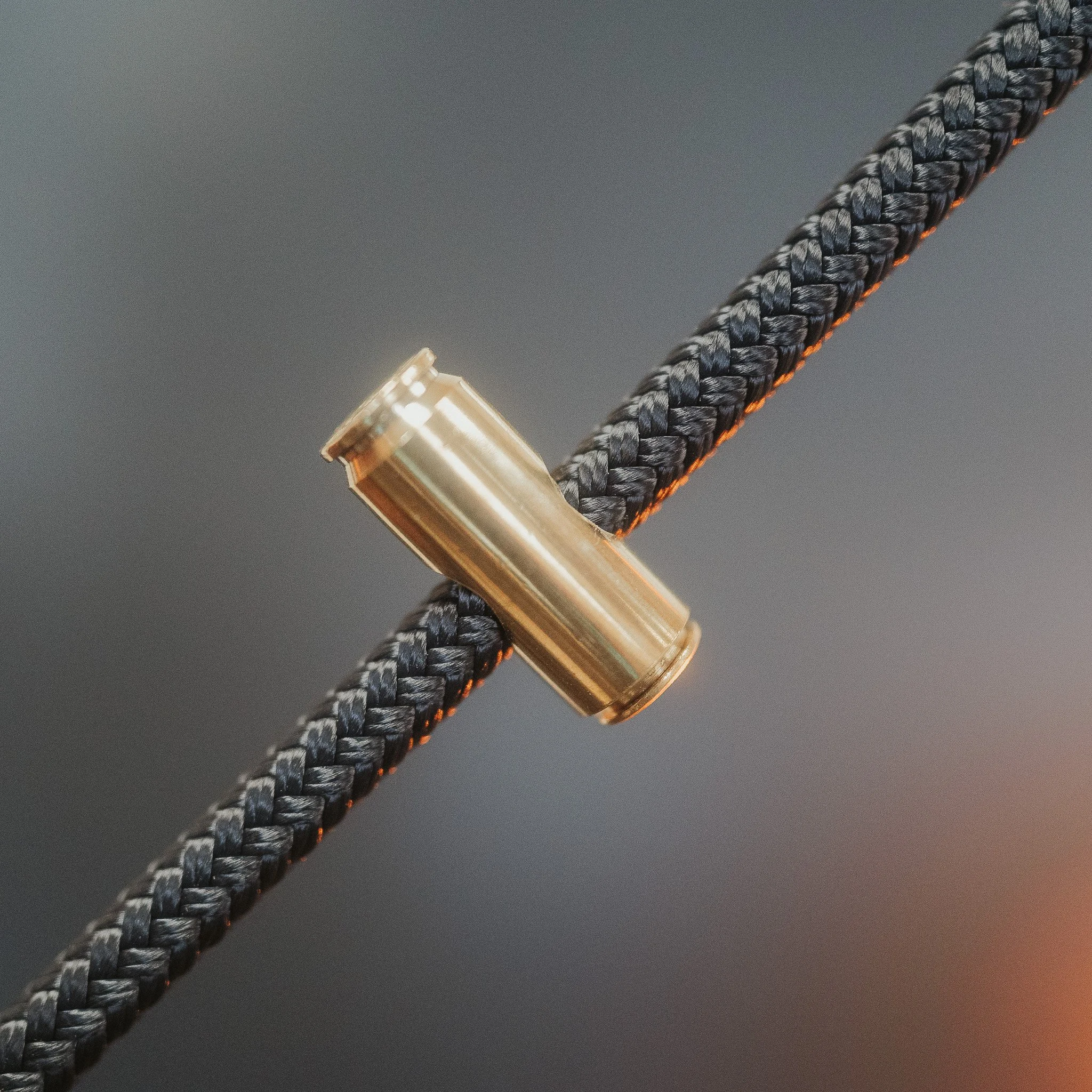 Dog Training — In The Dog House