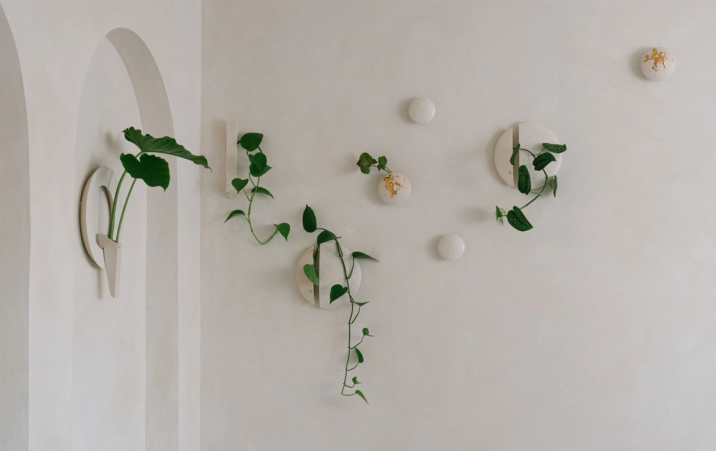 MiMOKO Ceramics — MiMOKO | All Products