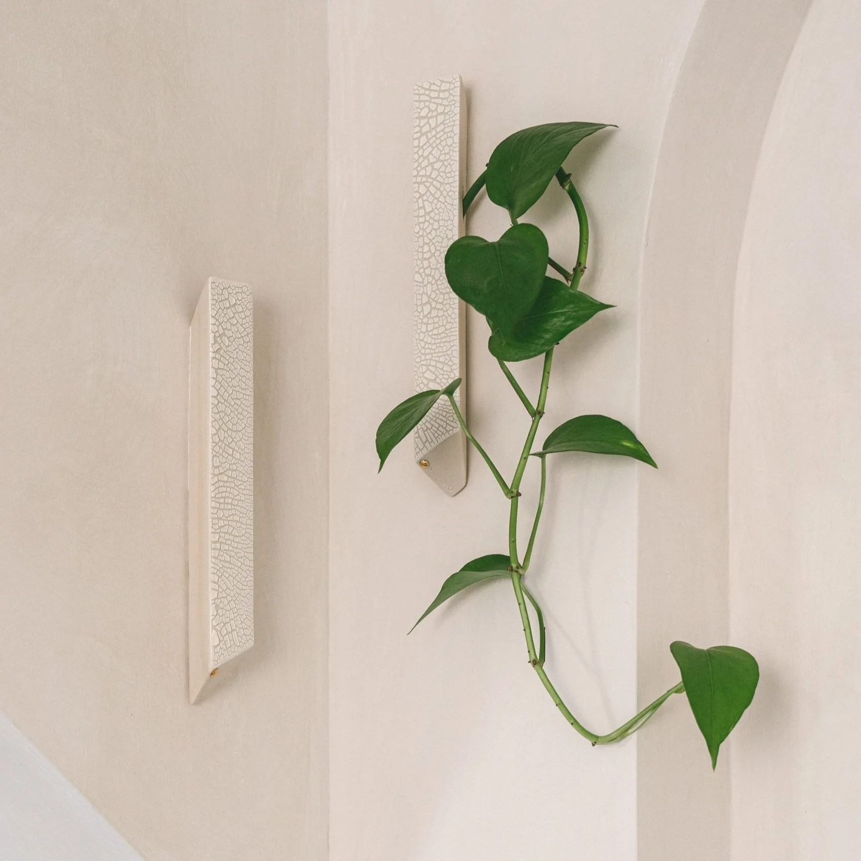 MiMOKO Ceramics — MiMOKO | All Products