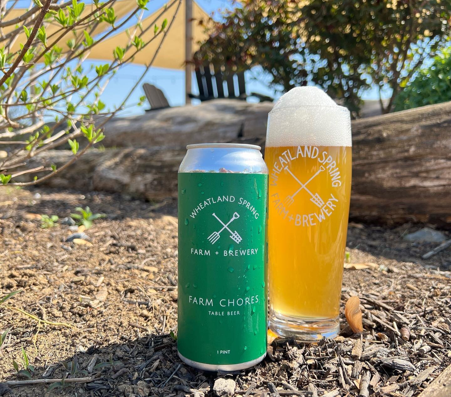 Wheatland Spring Farm + Brewery — Wheatland Spring