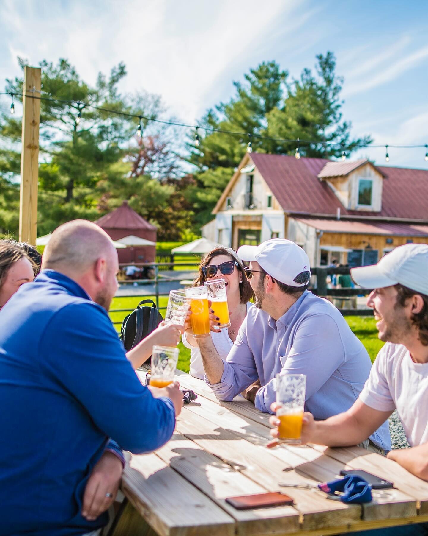 On Farm Beer — Wheatland Spring