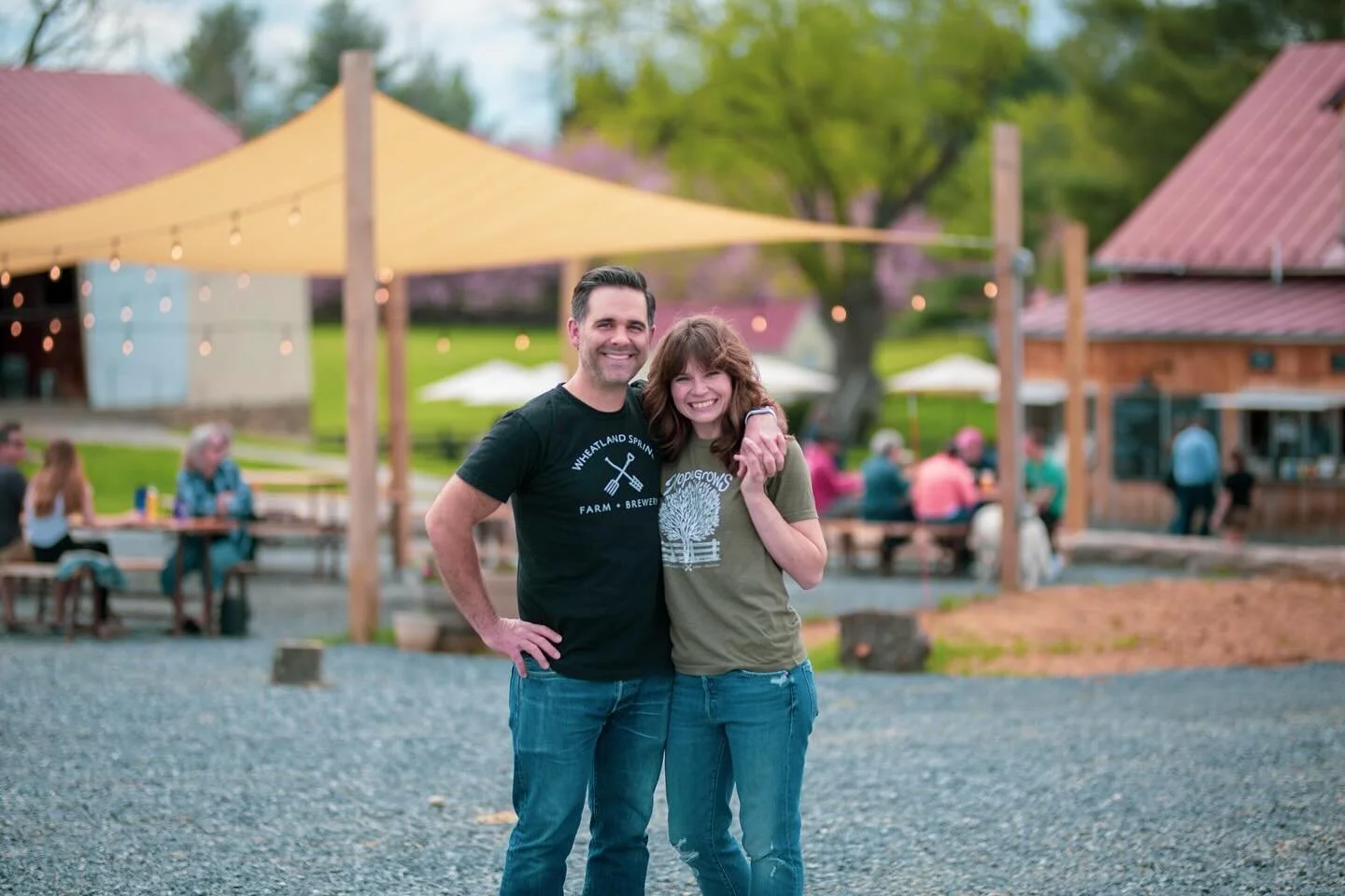 On Farm Beer — Wheatland Spring