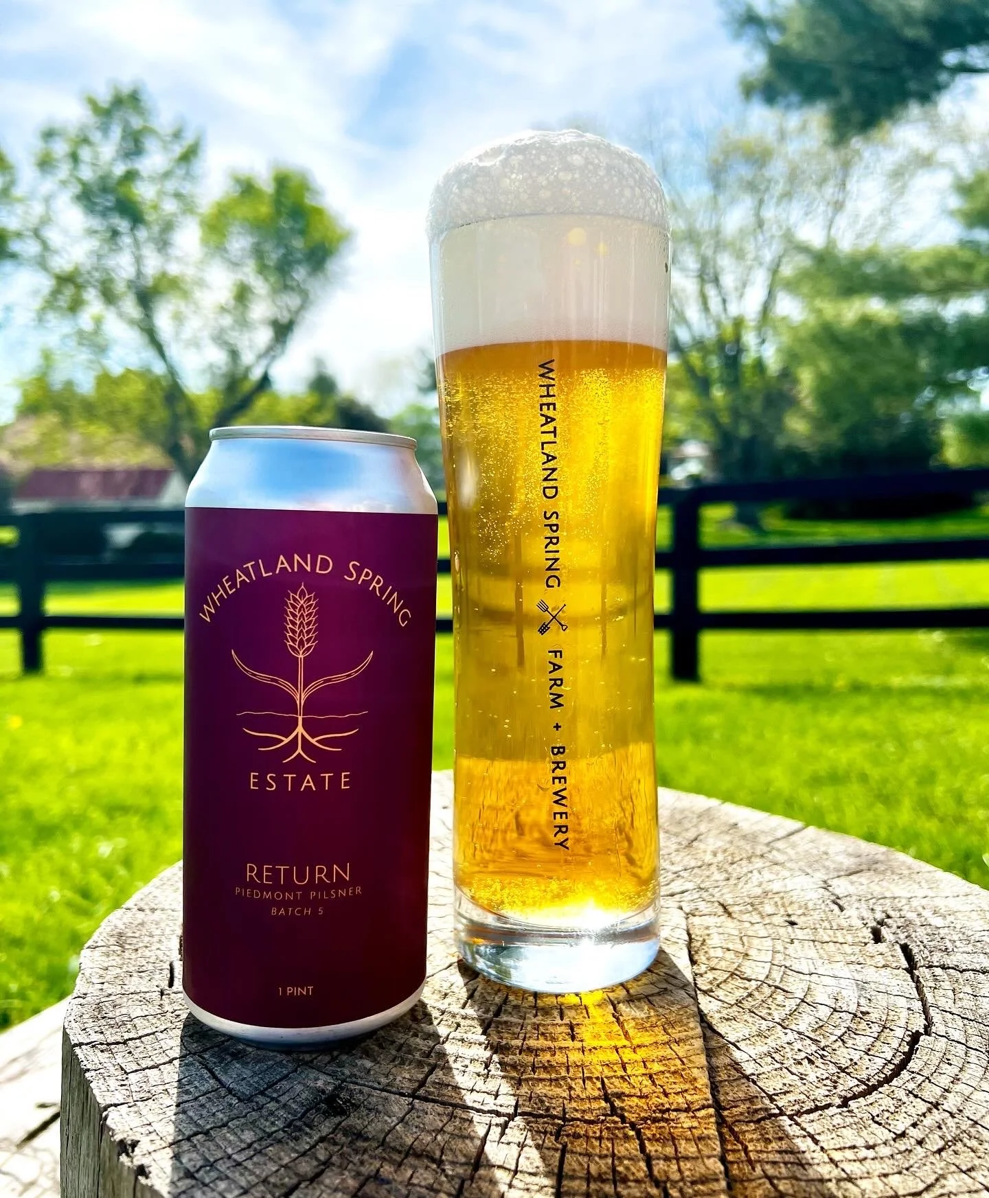 Shop — Wheatland Spring