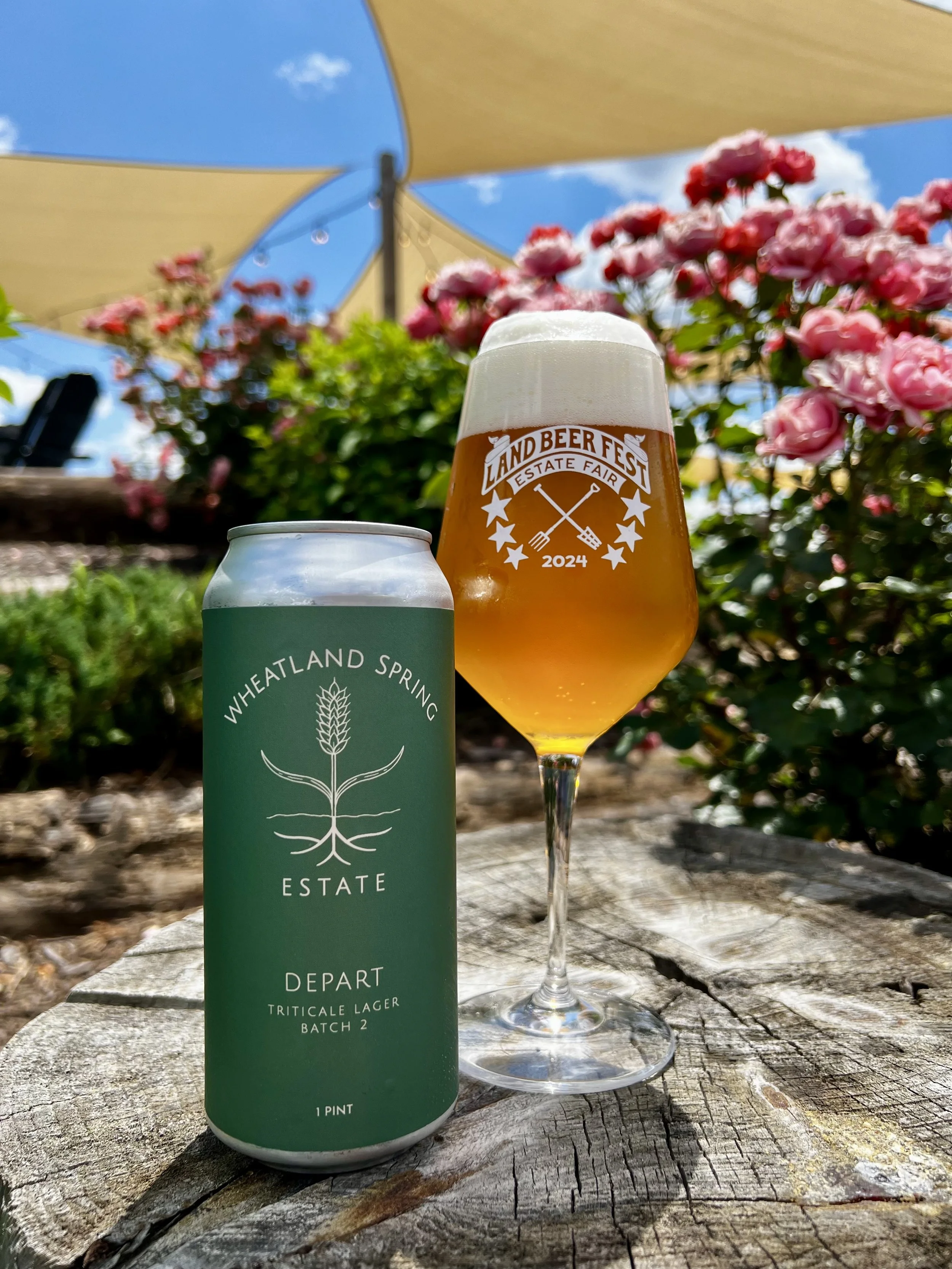 Shop — Wheatland Spring