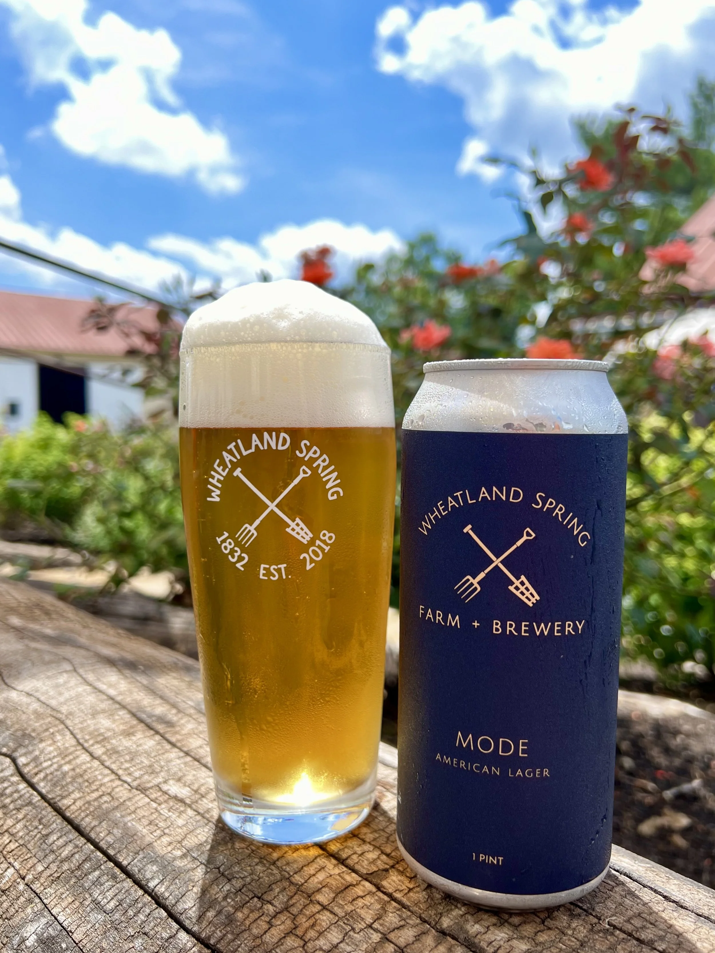 Shop — Wheatland Spring