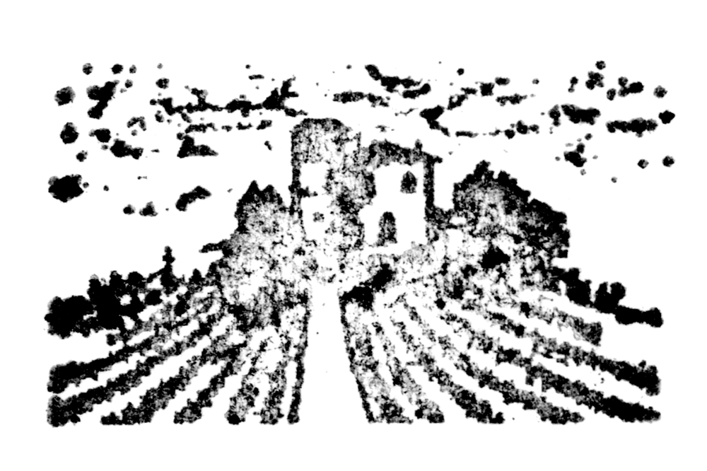 Welcome to La Stoppa — La Stoppa