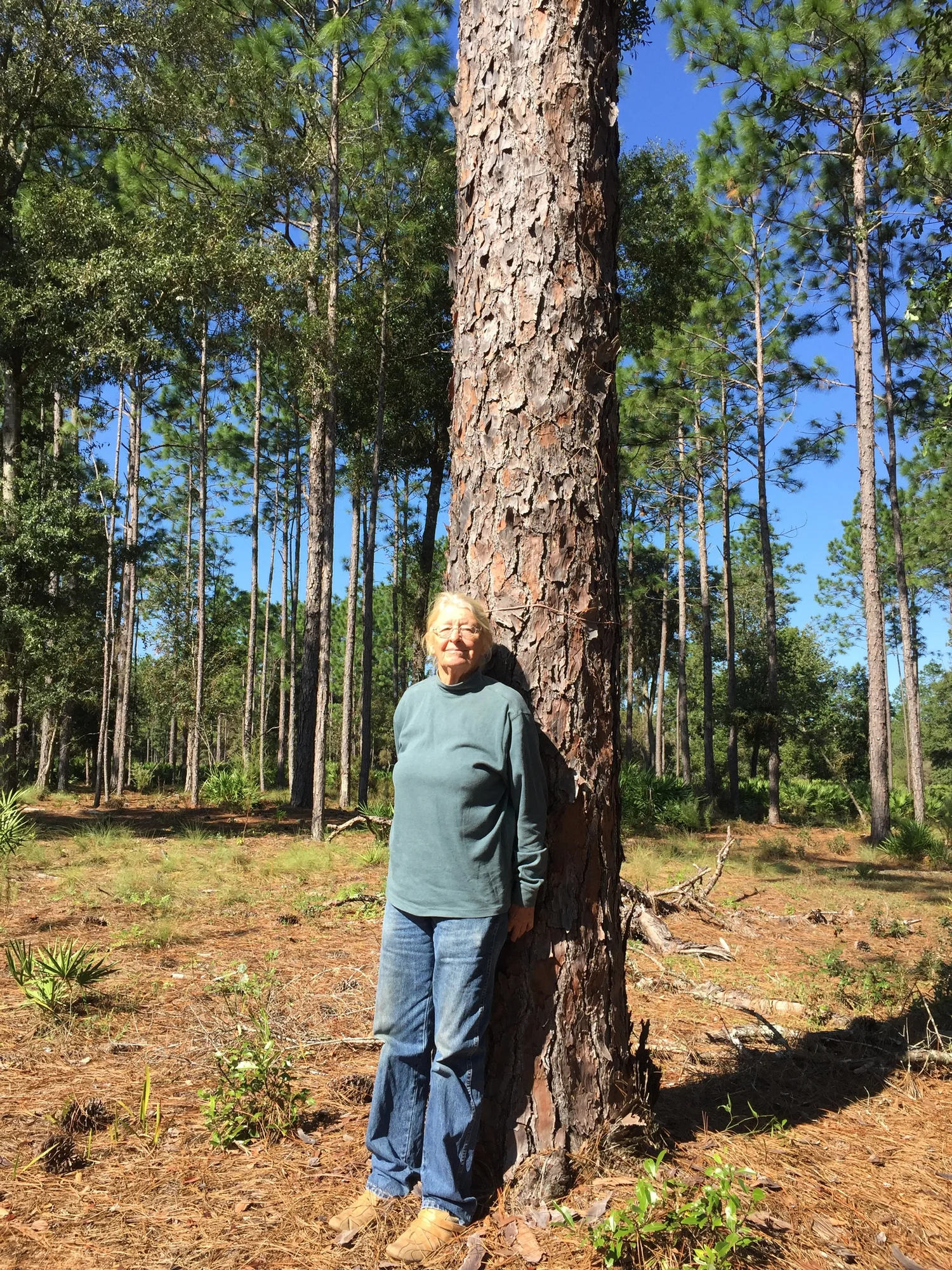 Alachua Conservation Trust — Conservation Expands in the Rainbow ...