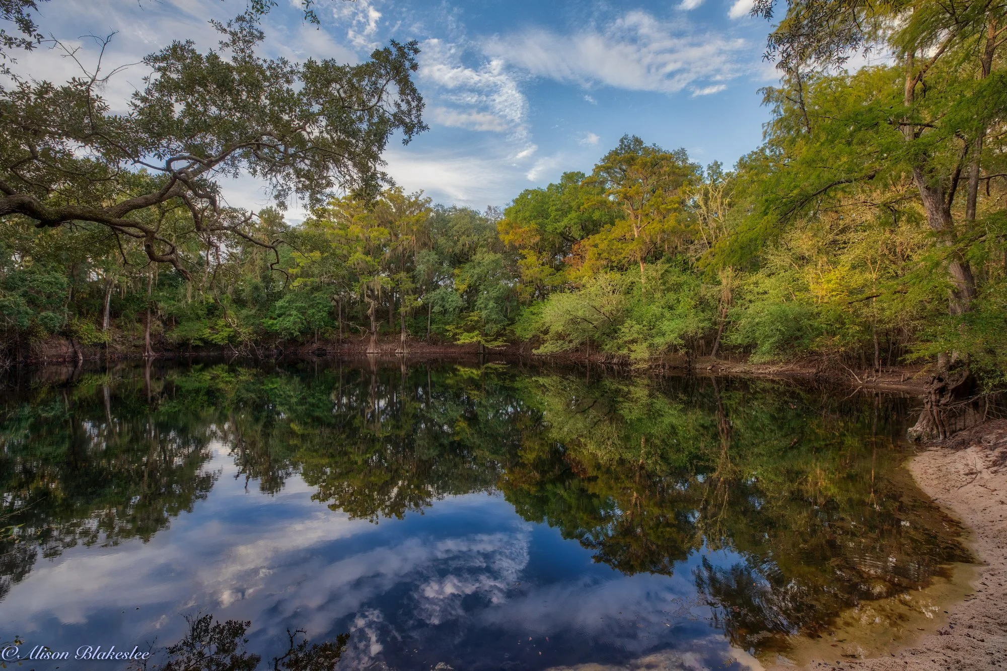 Alachua Conservation Trust — Press Releases