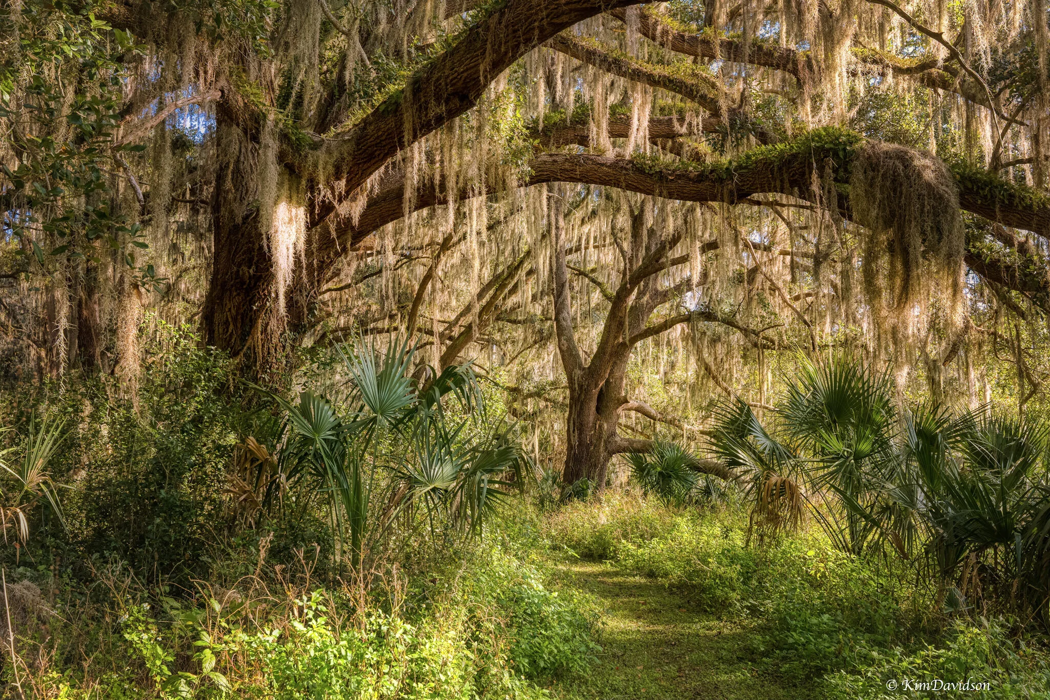 Alachua Conservation Trust