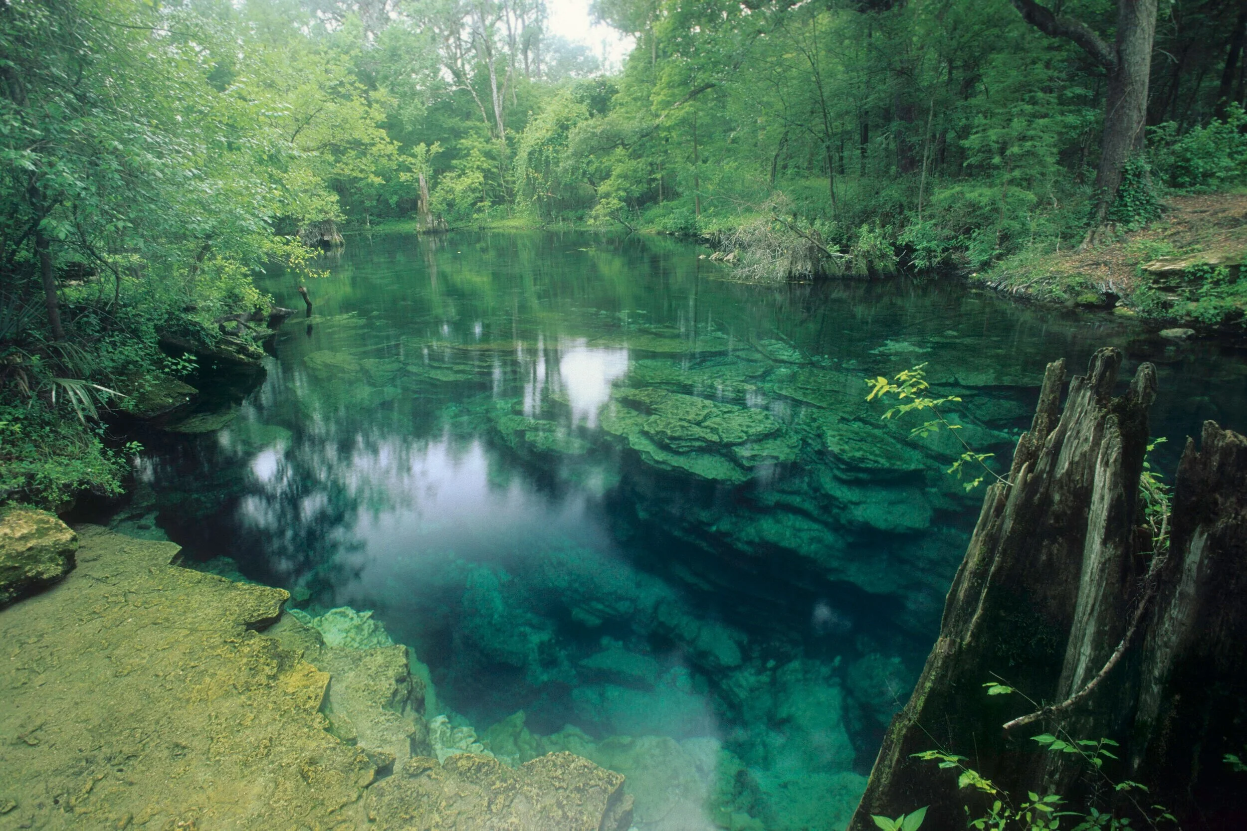 Alachua Conservation Trust