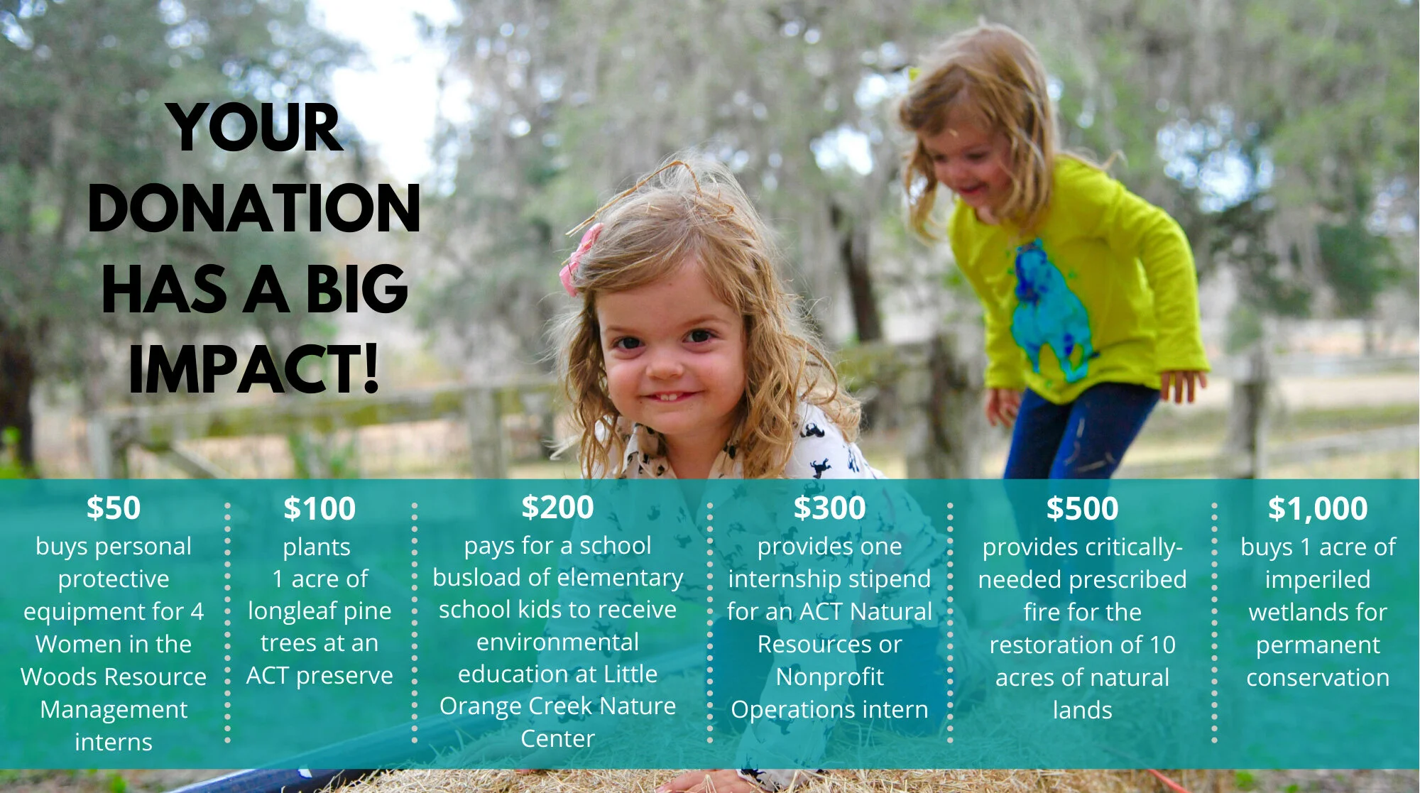 Alachua Conservation Trust — Donate