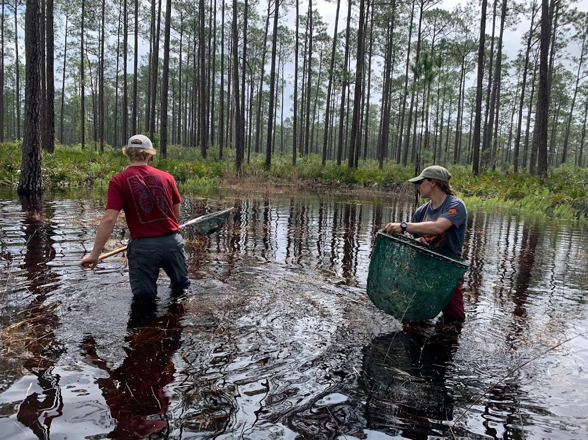 Alachua Conservation Trust — Spring 2022