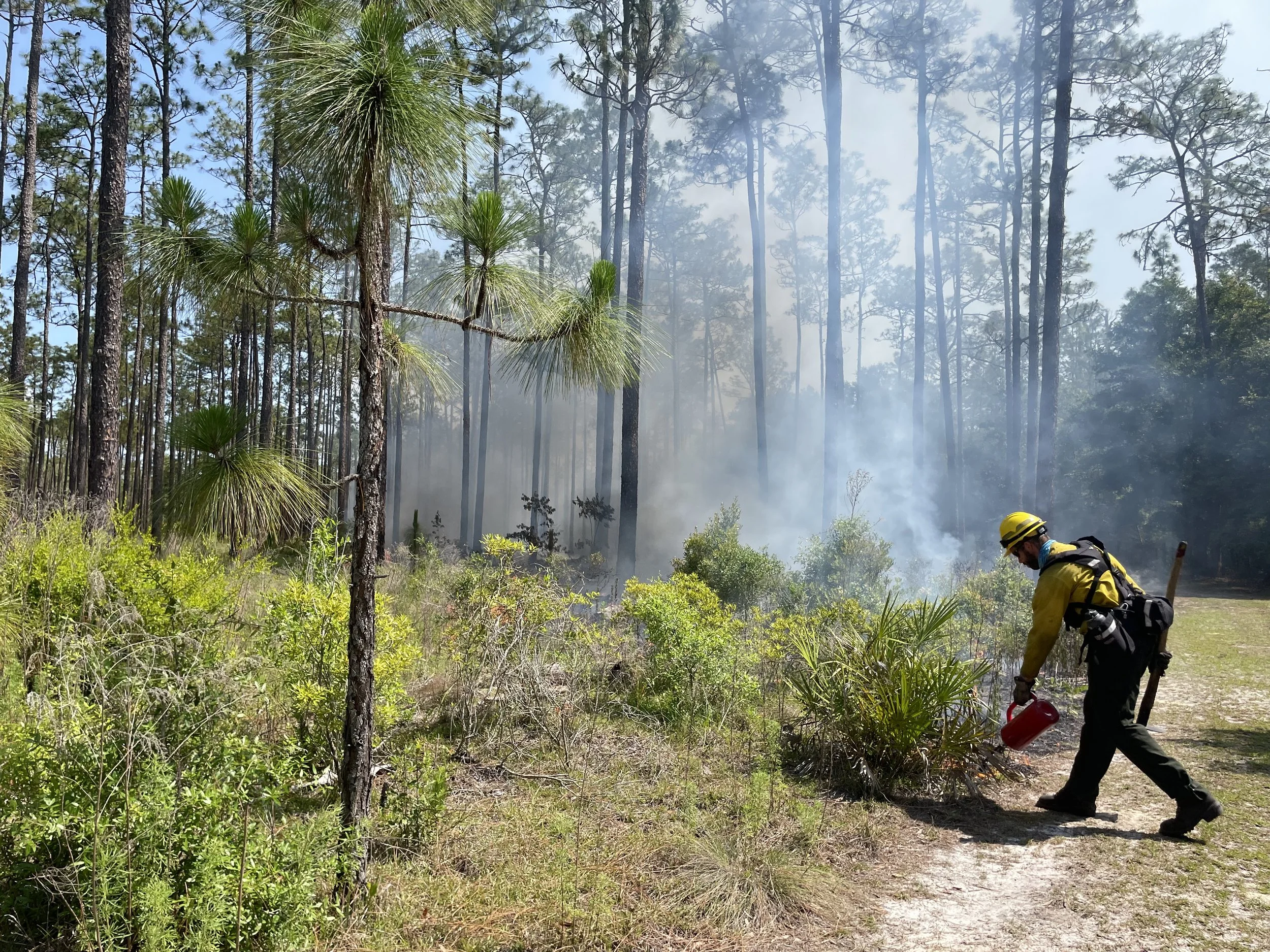 Alachua Conservation Trust