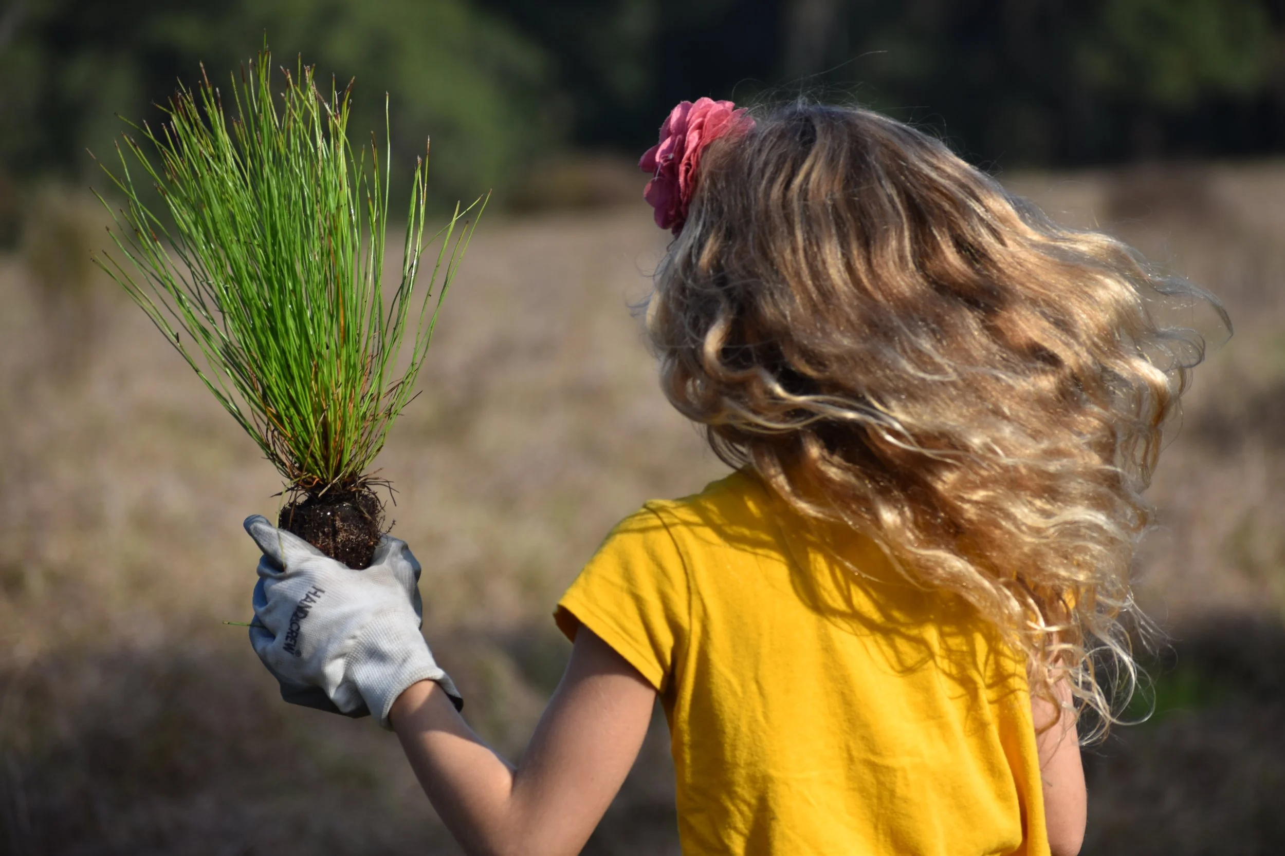 Alachua Conservation Trust