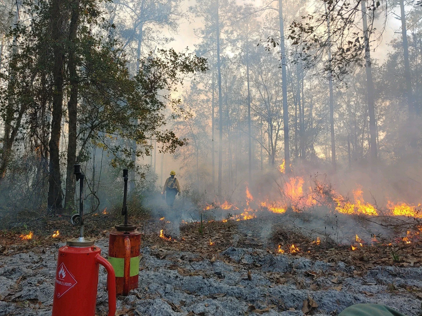 Alachua Conservation Trust