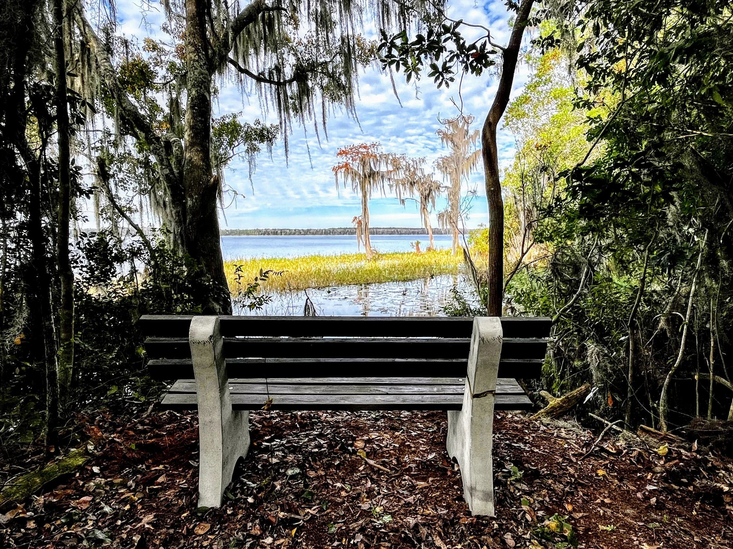 Alachua Conservation Trust — ACT Parks & Preserves