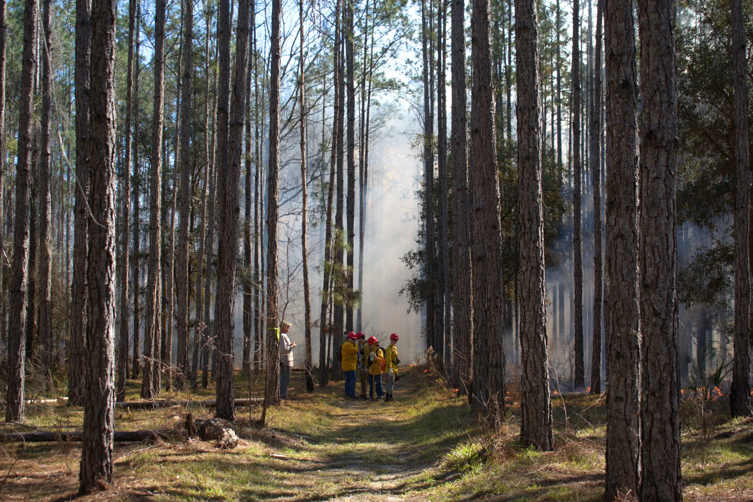 Alachua Conservation Trust — Spring 2024