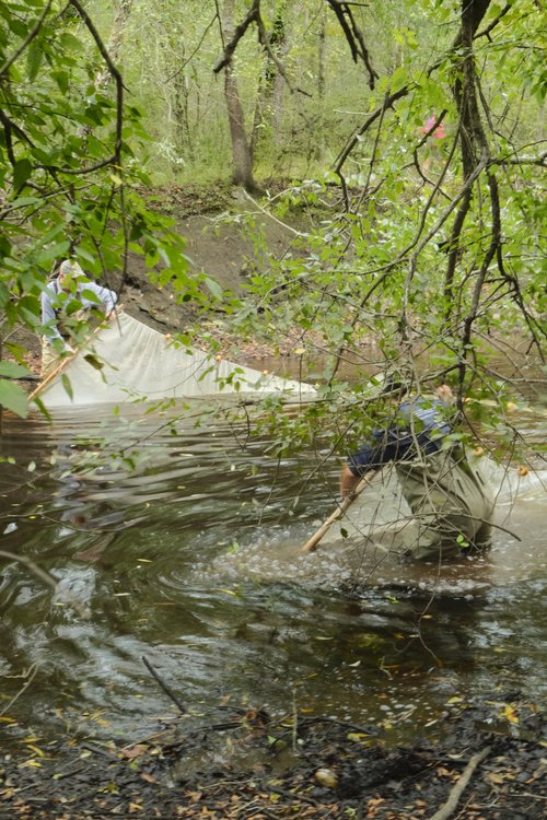 Alachua Conservation Trust — View galleries from ACT's past events