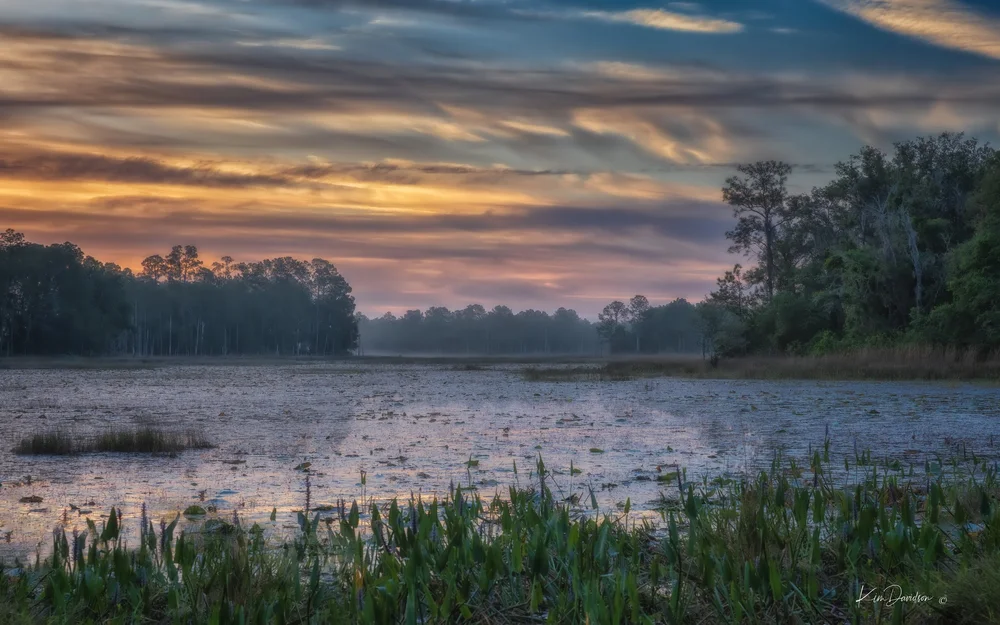 Alachua Conservation Trust — Conservation Easements