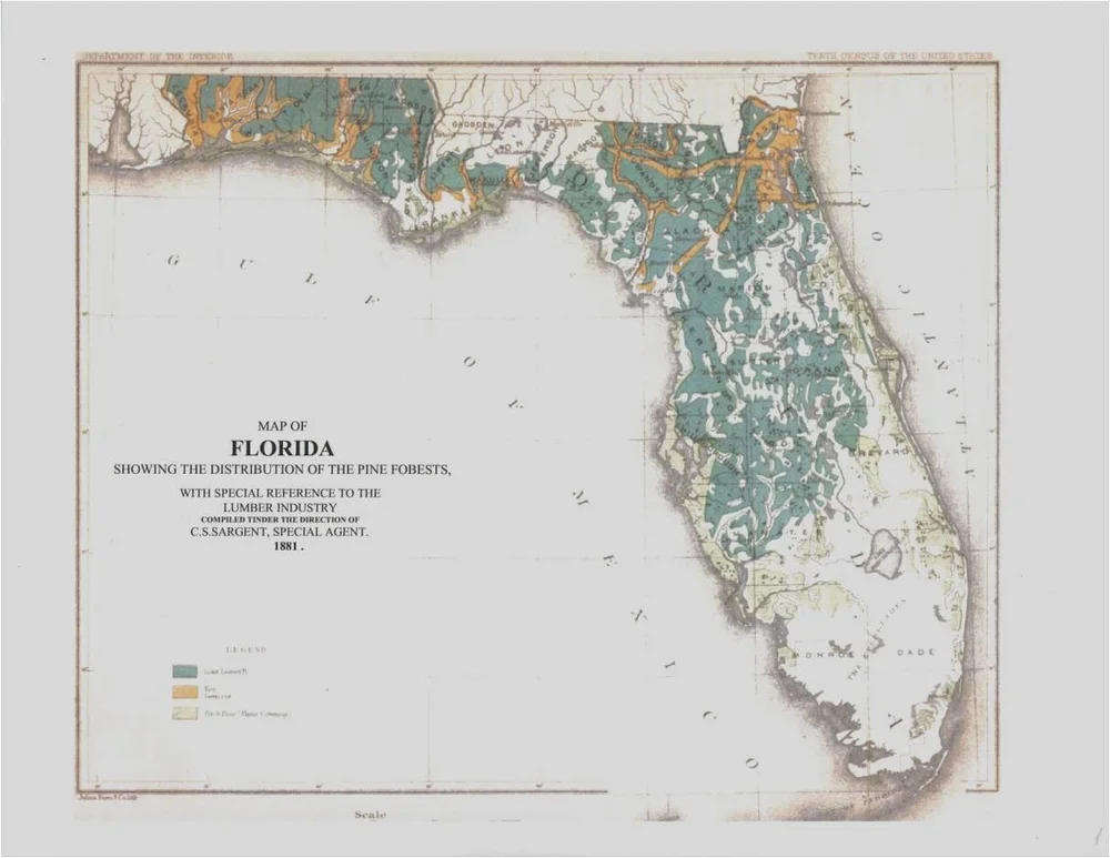 Alachua Conservation Trust — Habitat Restoration & Management
