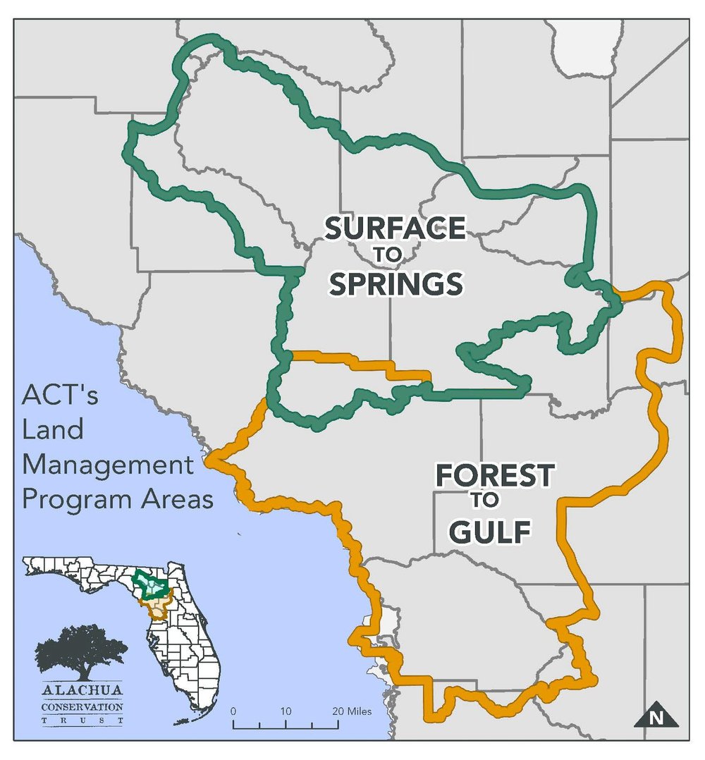 Alachua Conservation Trust — Habitat Restoration & Management