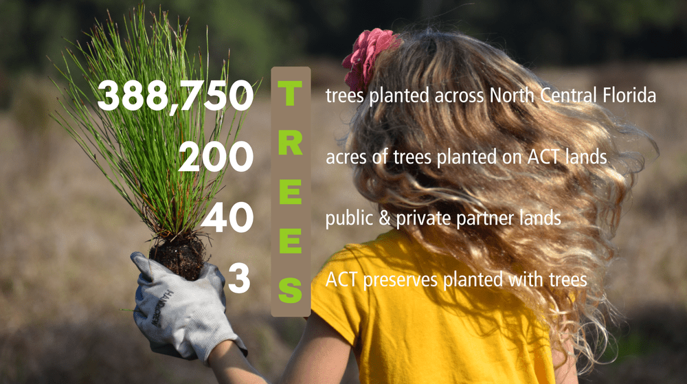 Alachua Conservation Trust — Habitat Restoration & Management