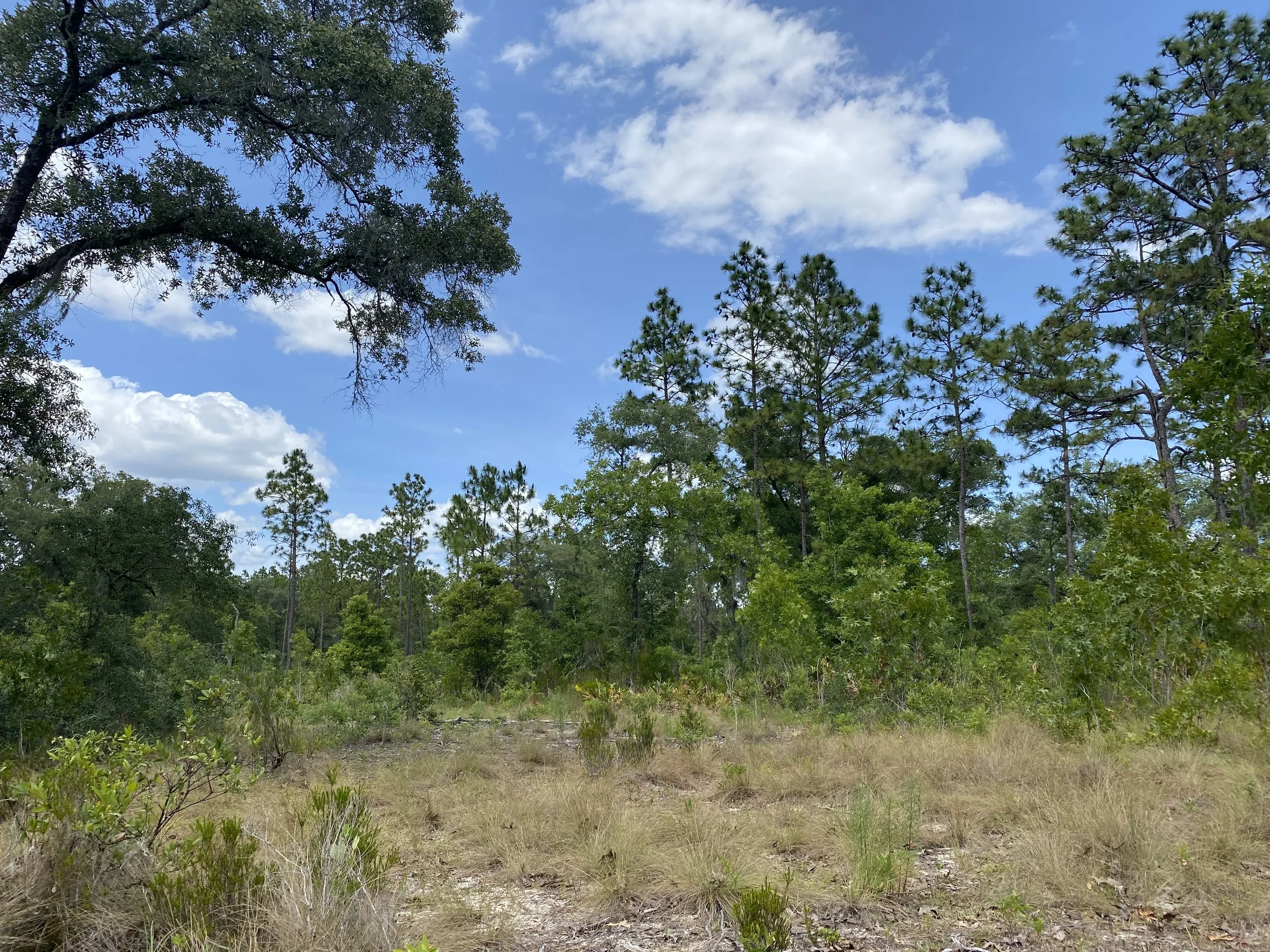 Alachua Conservation Trust — Press Releases