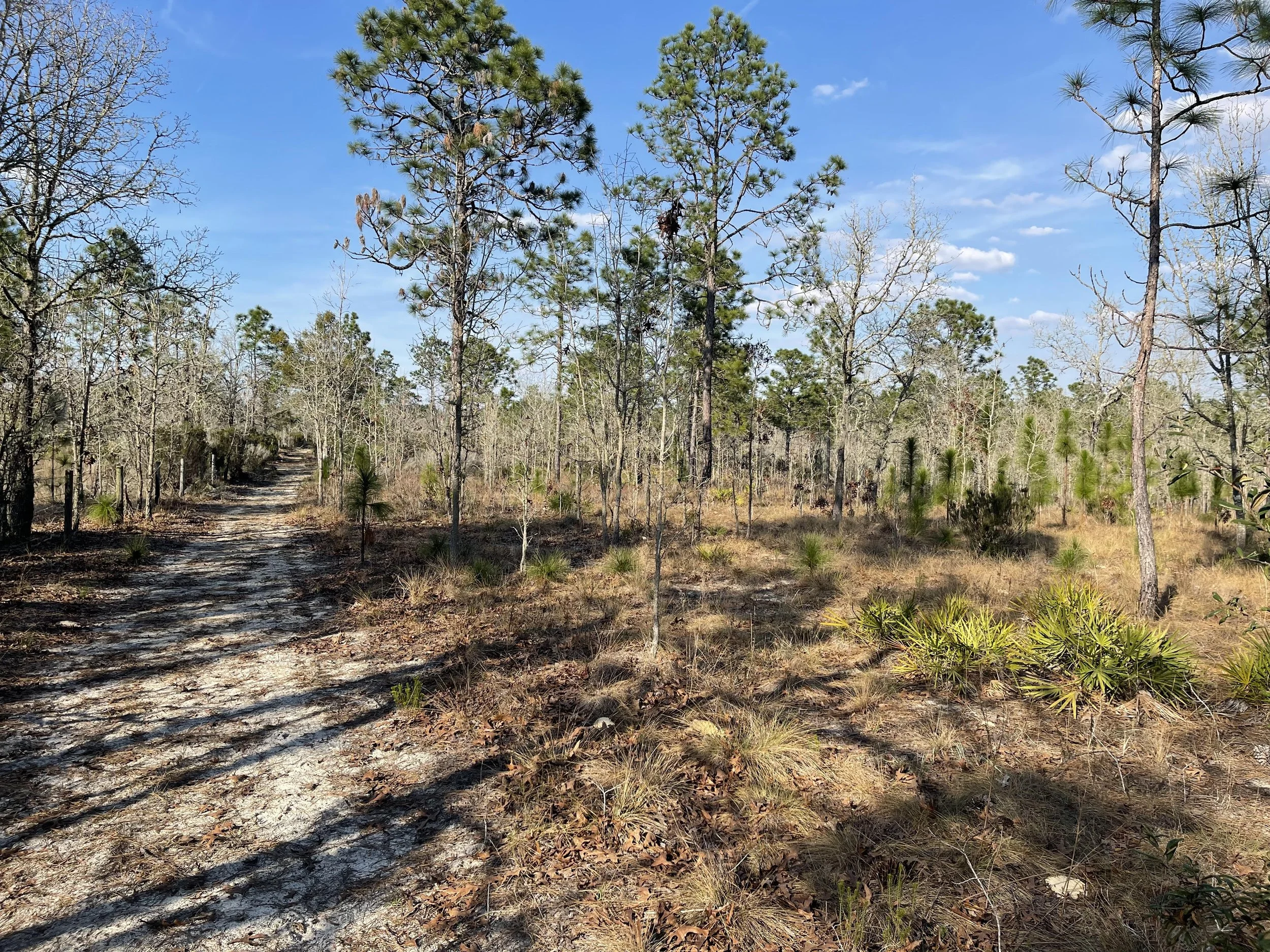 Alachua Conservation Trust — Watermelon Pond Conservation Area Expanded ...