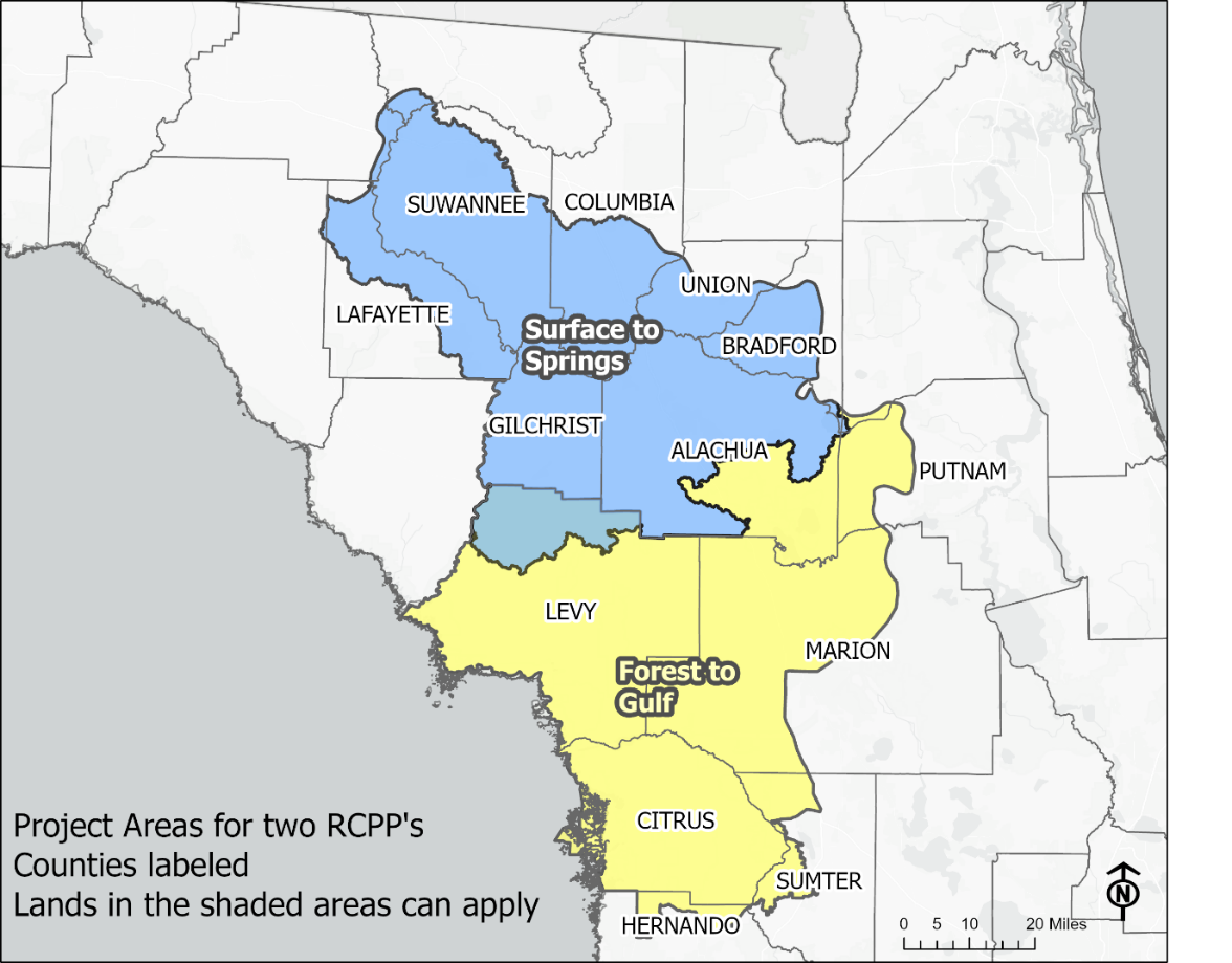 Alachua Conservation Trust — Florida Landowners Encouraged to Apply for ...