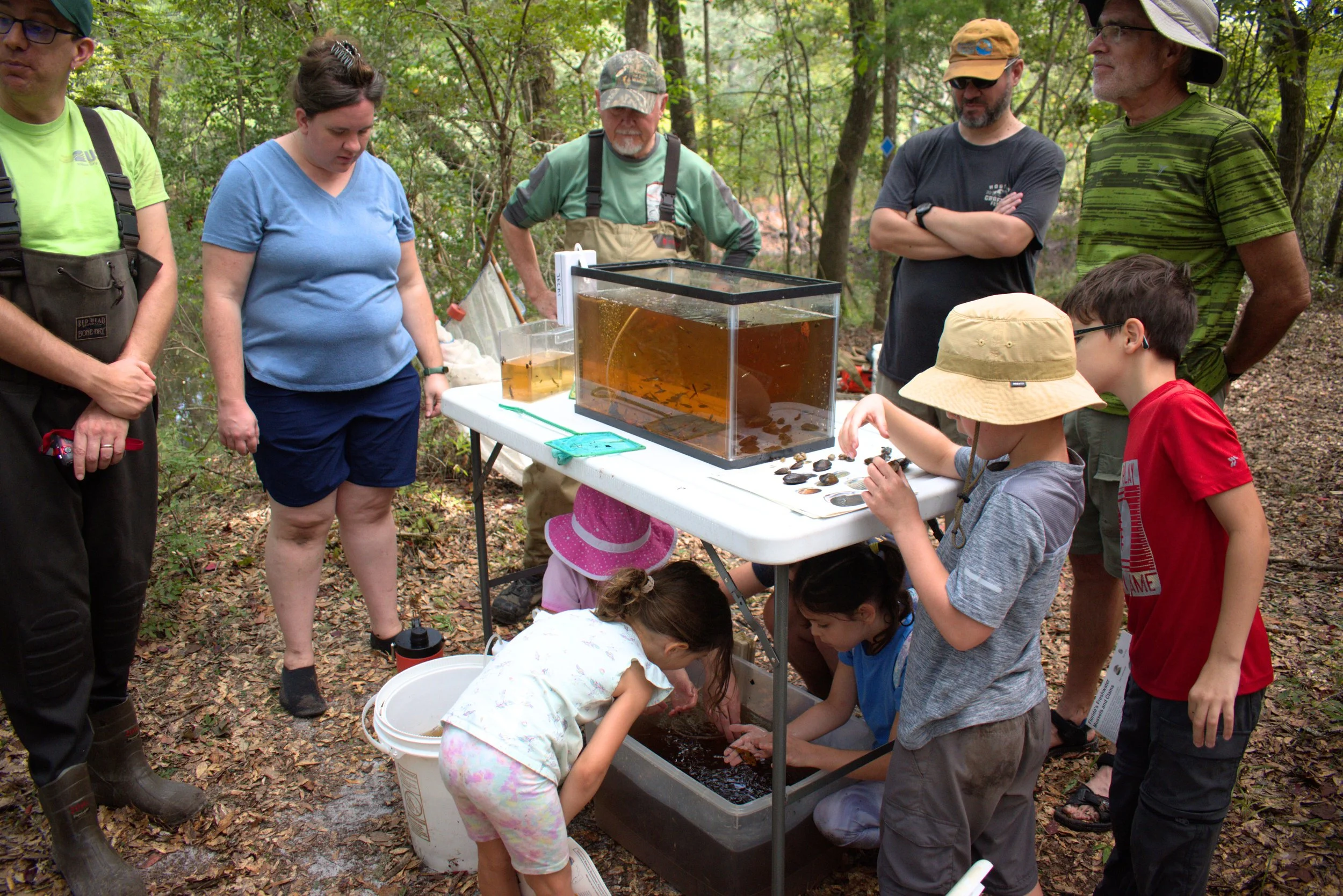 Alachua Conservation Trust — Bringing Nature to the Next Generation