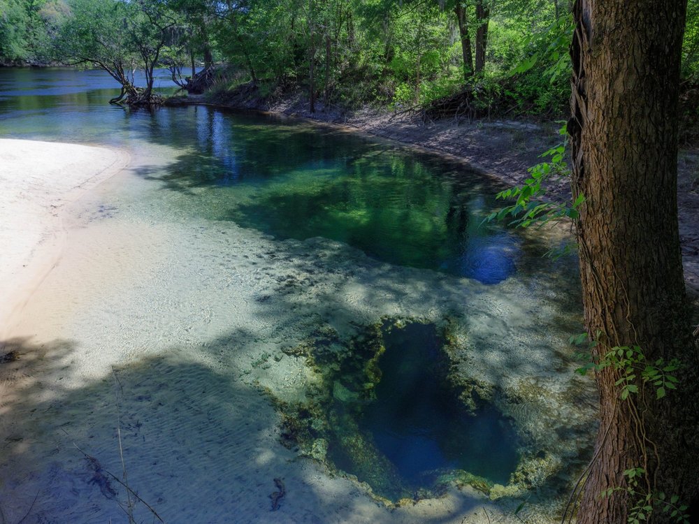 Alachua Conservation Trust — Conservation Easements