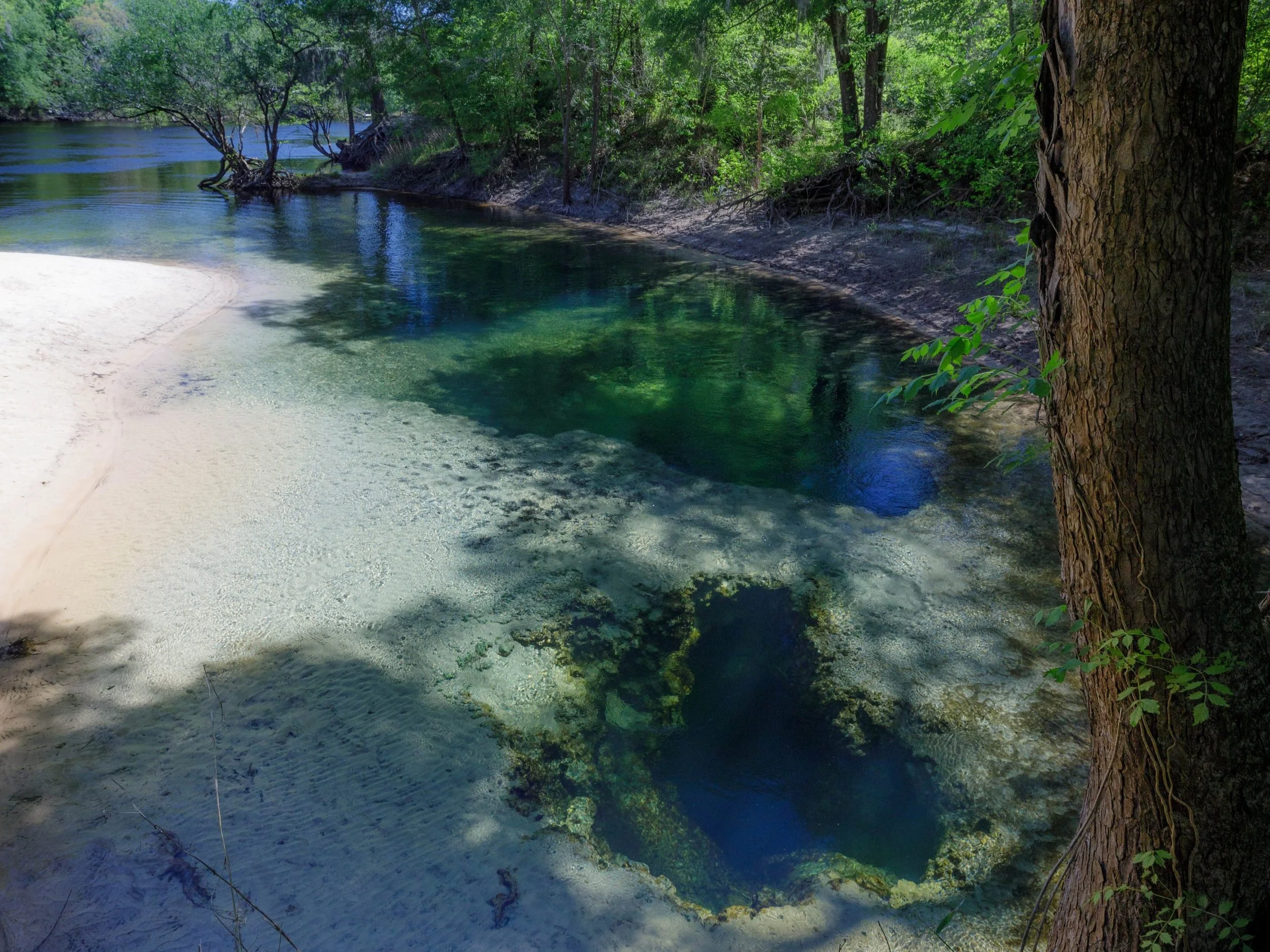 Alachua Conservation Trust — Conservation Easements