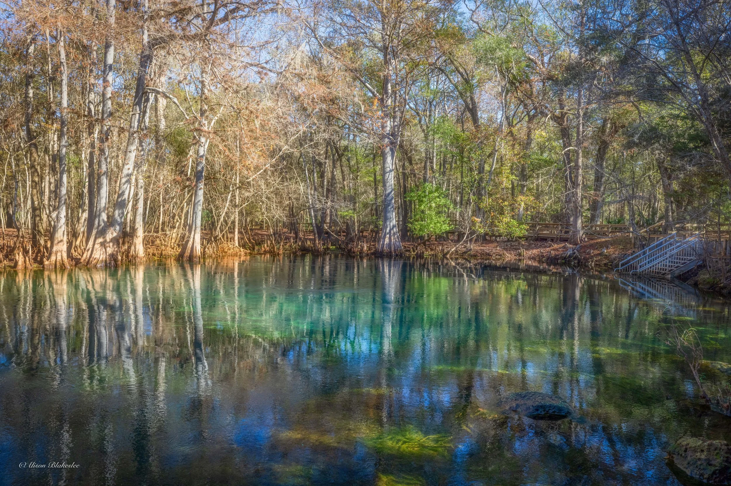 Manatee National Park