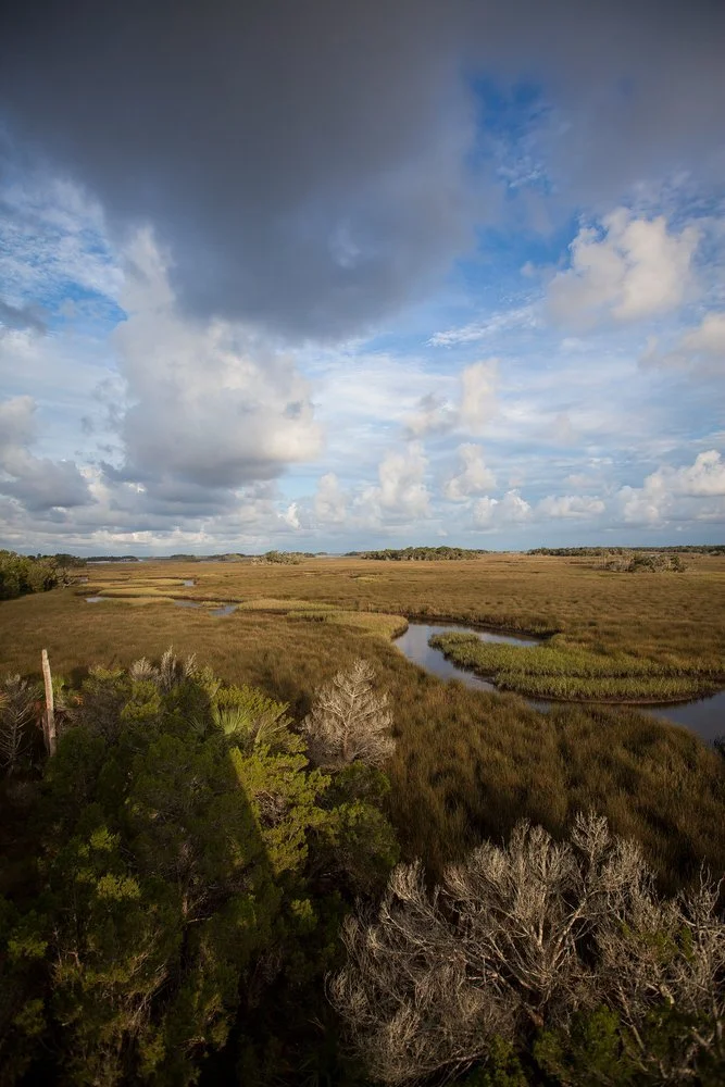 Alachua Conservation Trust — Press Releases