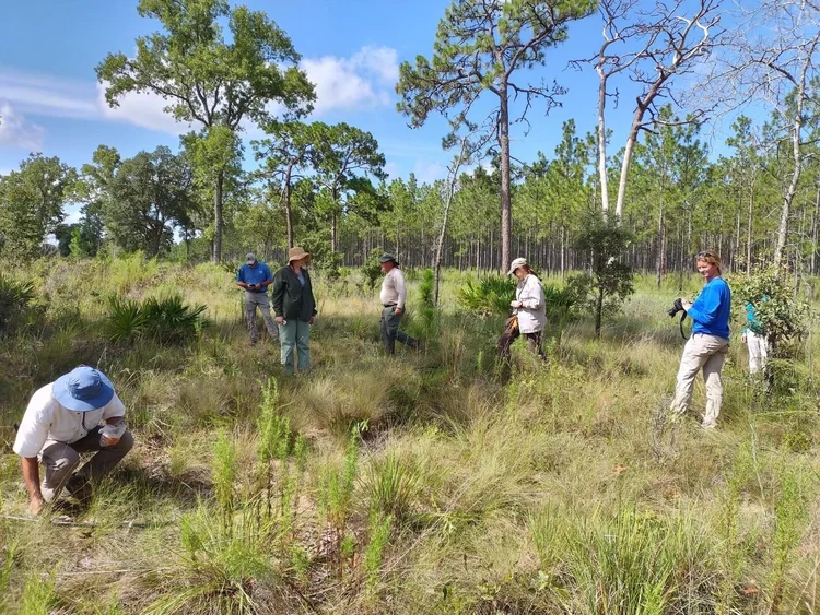 Alachua Conservation Trust — Partnering to Protect Plants