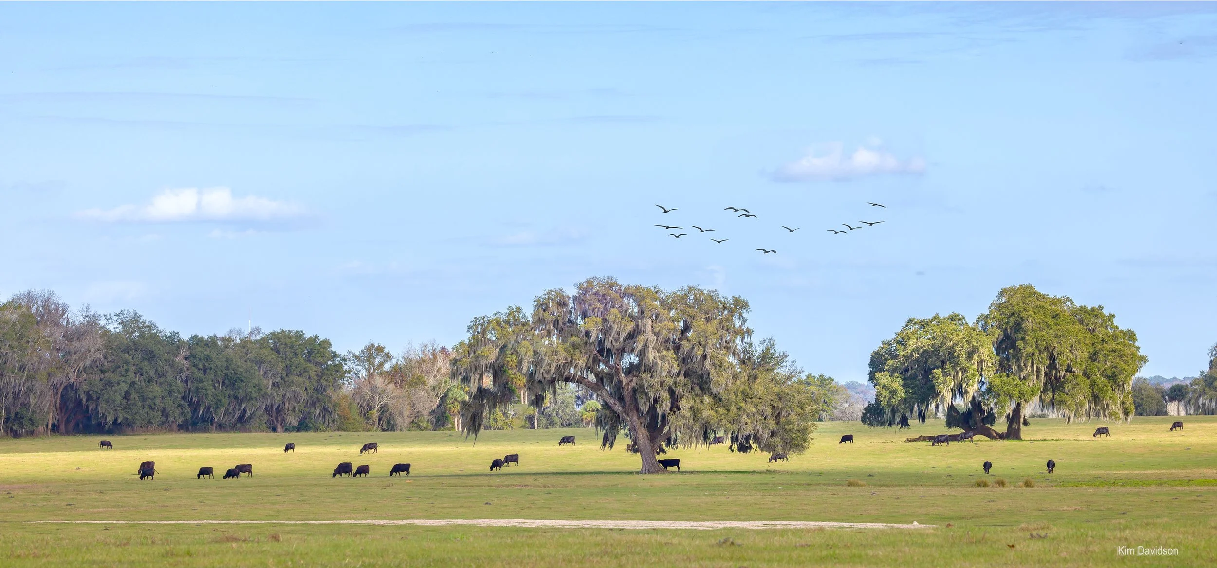 Alachua Conservation Trust